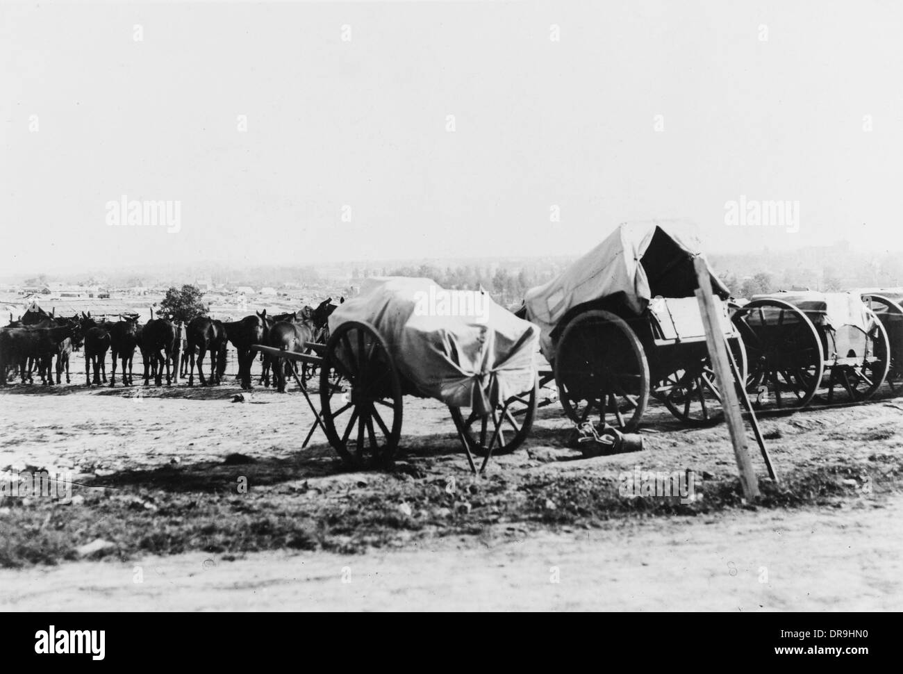 World war i training camp hi-res stock photography and images - Alamy