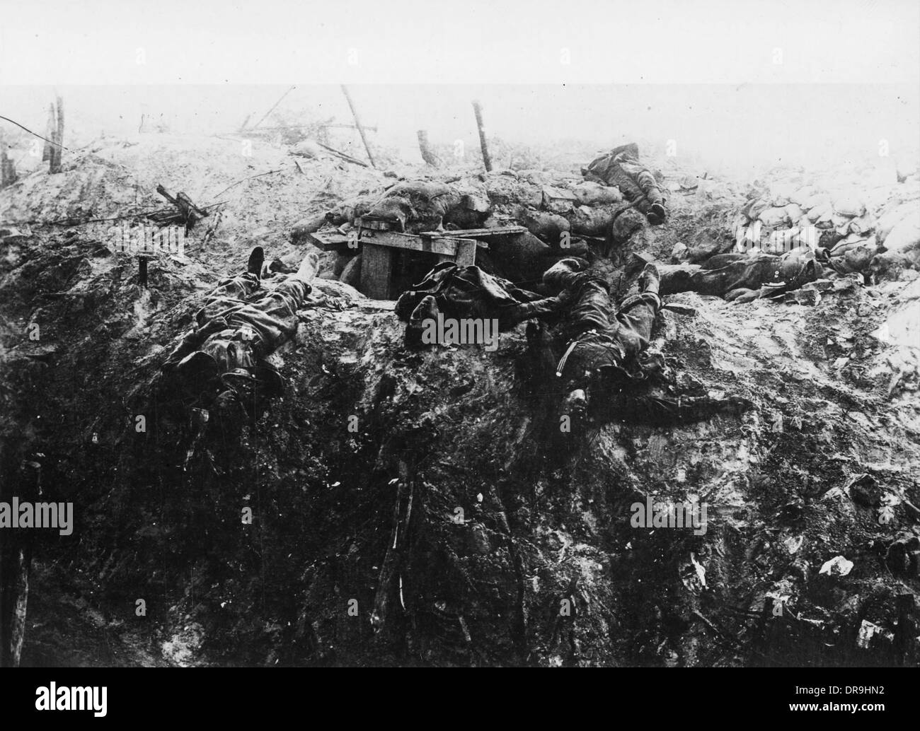 The somme hi-res stock photography and images - Alamy