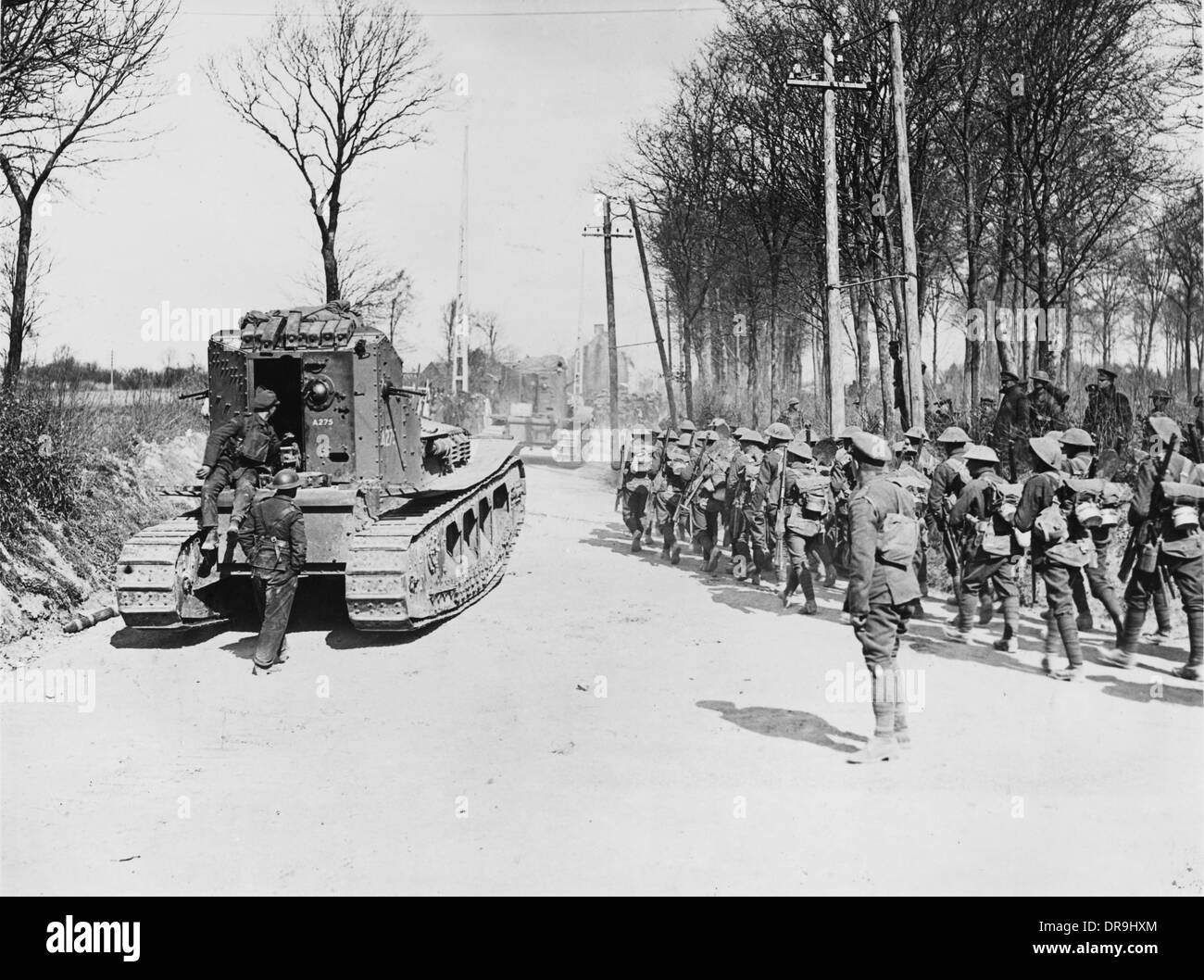 Whippet tank hi-res stock photography and images - Alamy