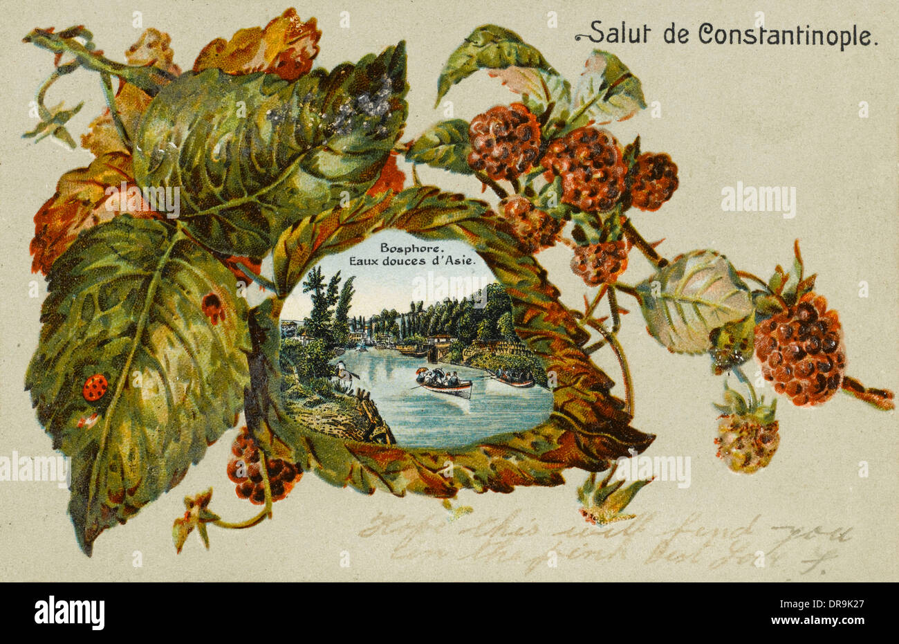 The Sweet Waters of Asia Minor, Constantinople Stock Photo - Alamy