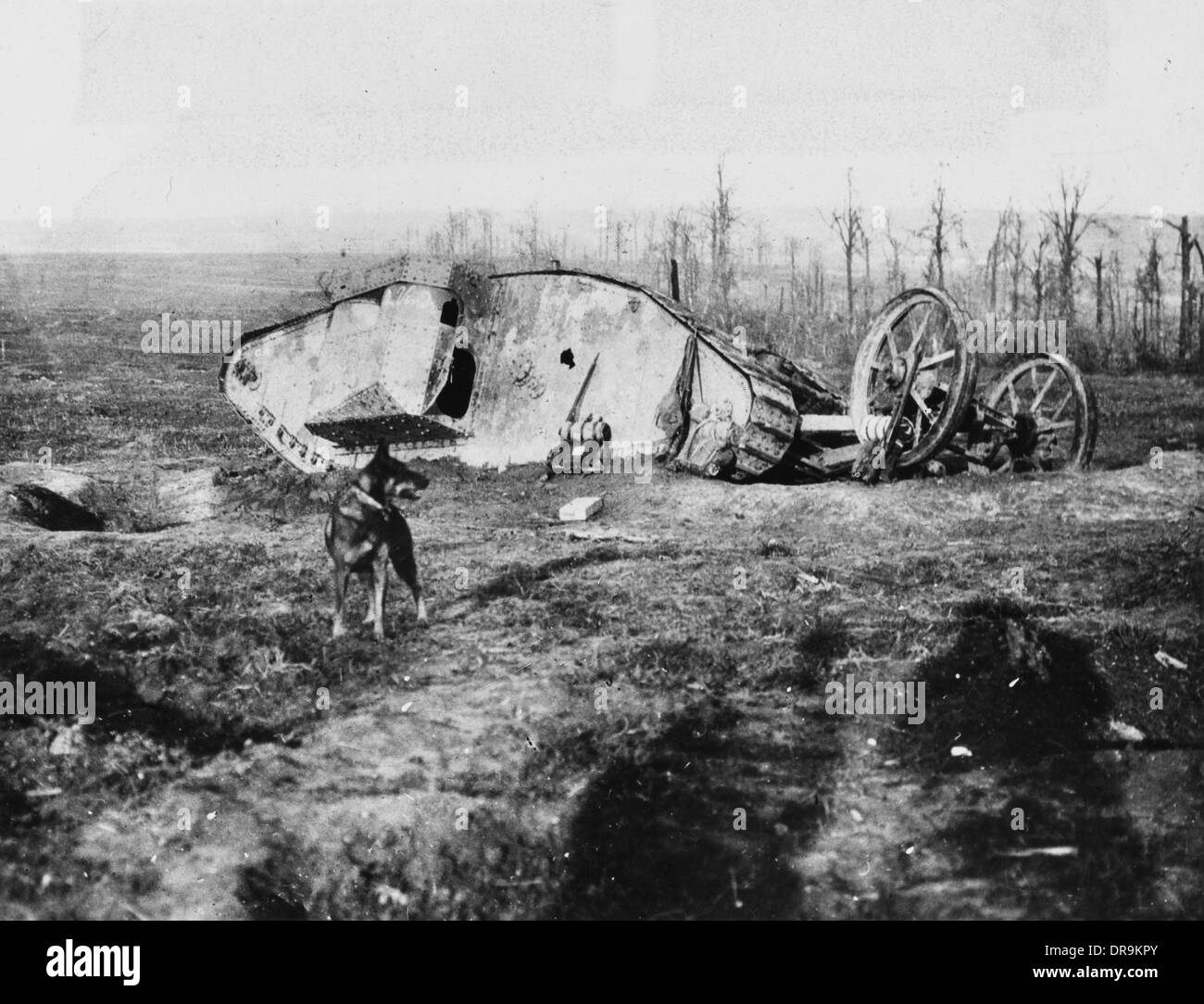 Tanks ww1 flers courcelette hi-res stock photography and images - Alamy