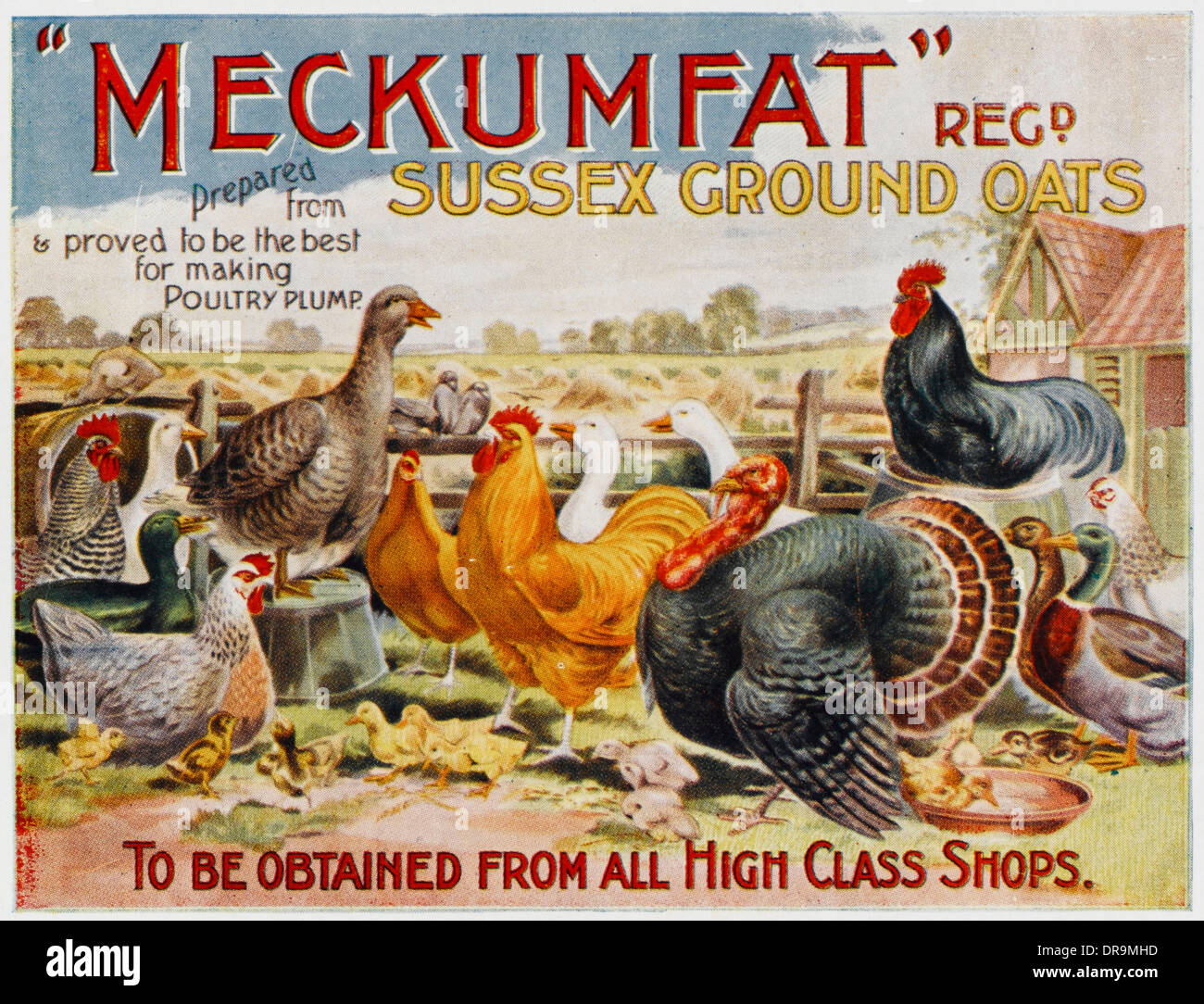 Livestock feed poster hi-res stock photography and images - Alamy