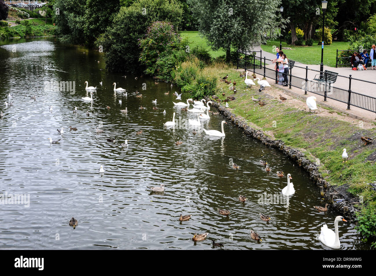 River avon chippenham wiltshire hi-res stock photography and images - Alamy