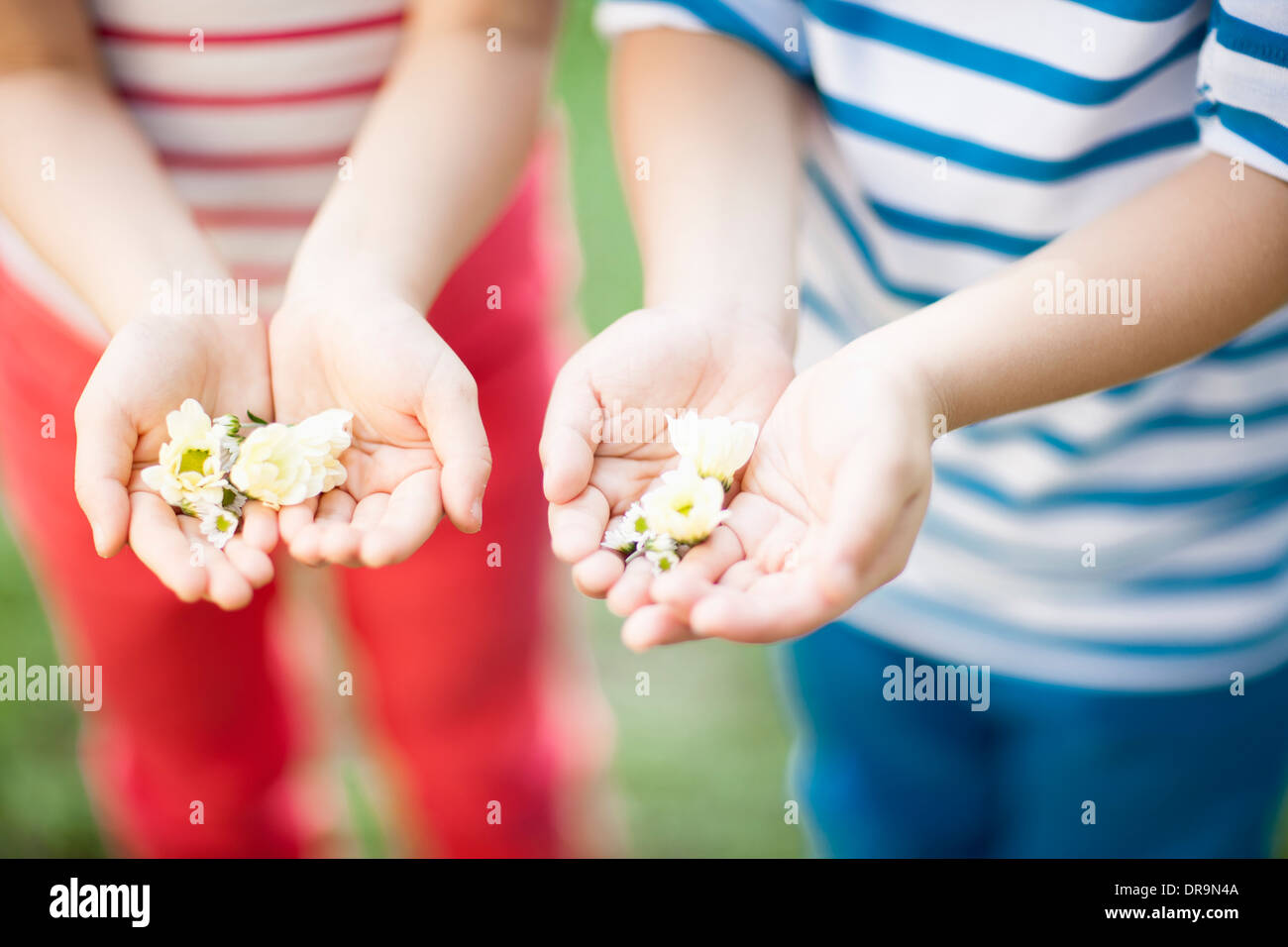 A couple of flowers hi-res stock photography and images - Alamy