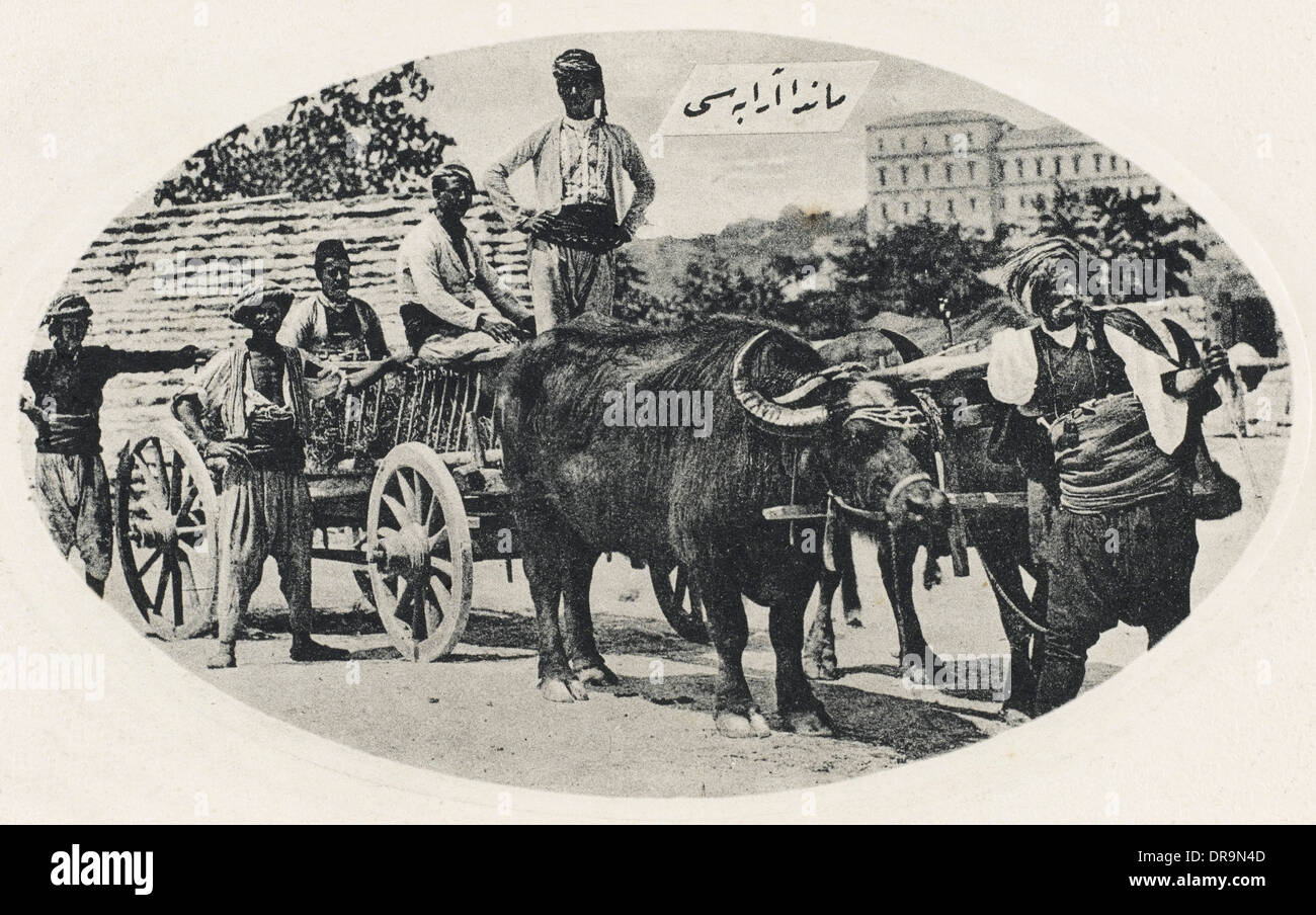 Water Buffalo pulling a wagon - Constantinople, Turkey Stock Photo - Alamy