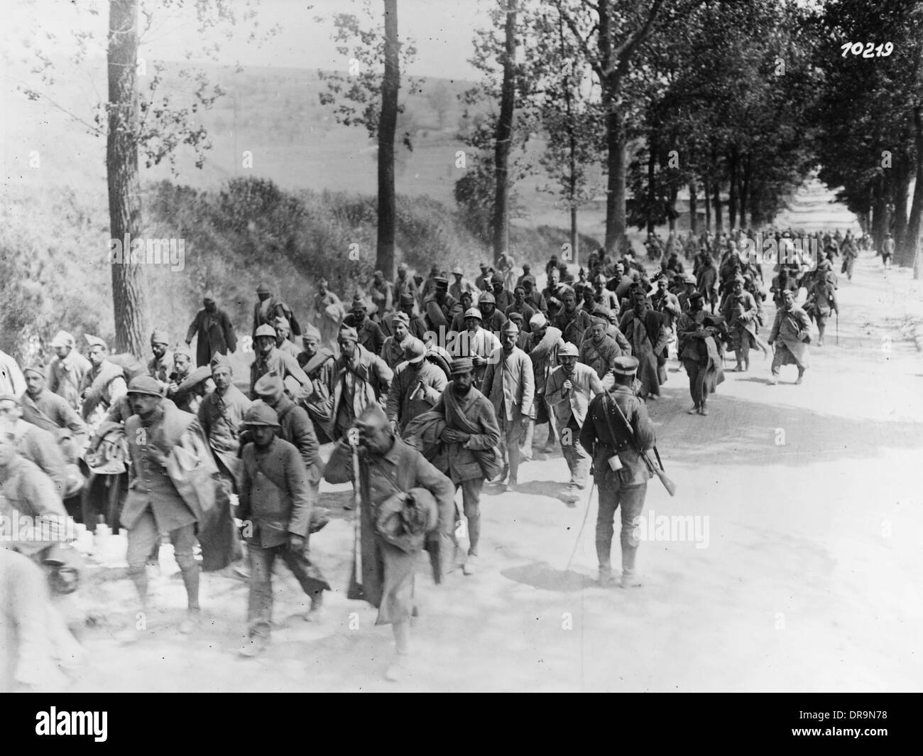 Aisne 1918 High Resolution Stock Photography and Images - Alamy