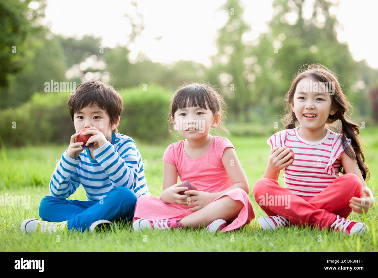 kids sitting on the grass eating apples Stock Photo - Alamy