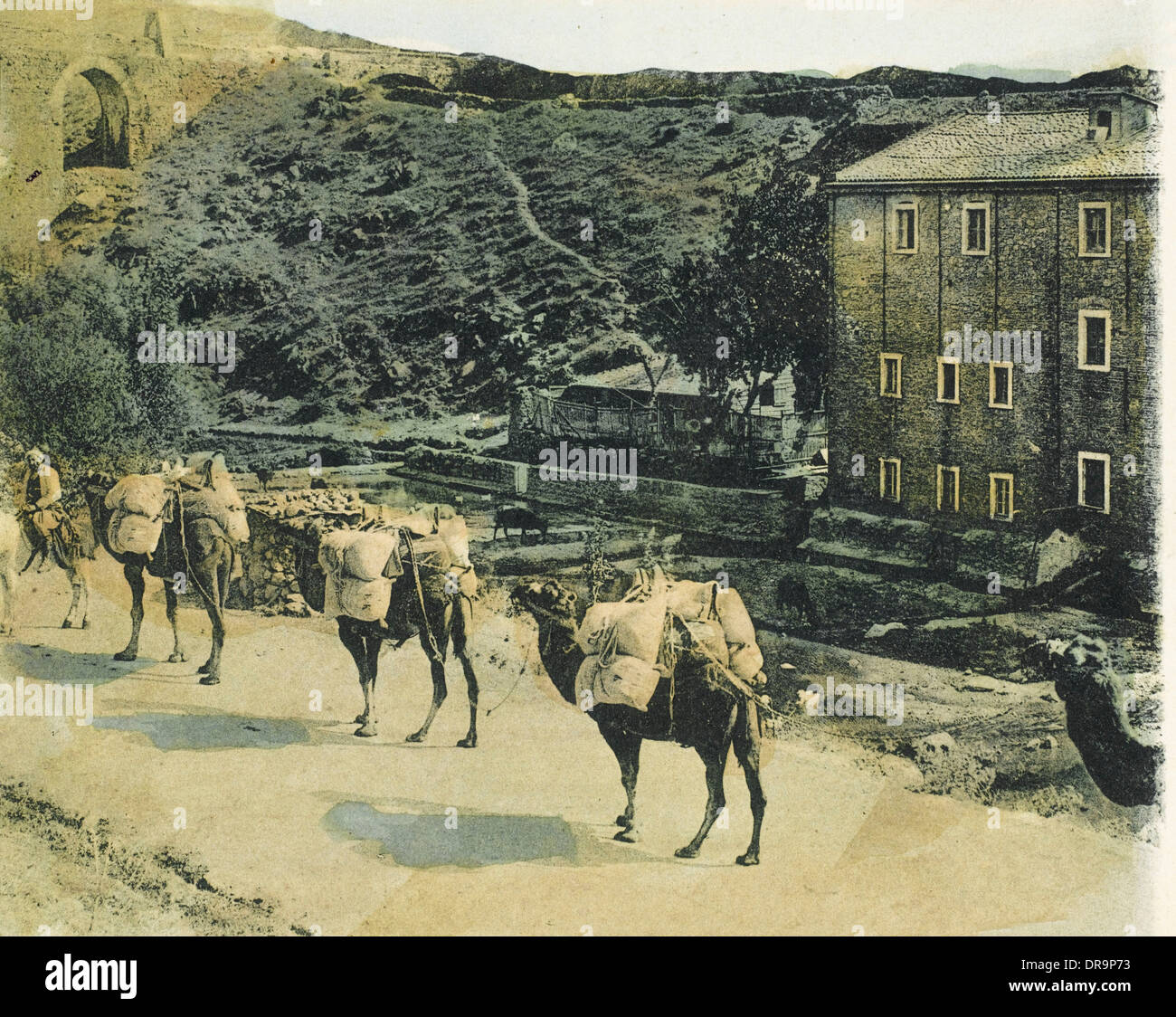 Izmir, Turkey - Camel Train Stock Photo - Alamy