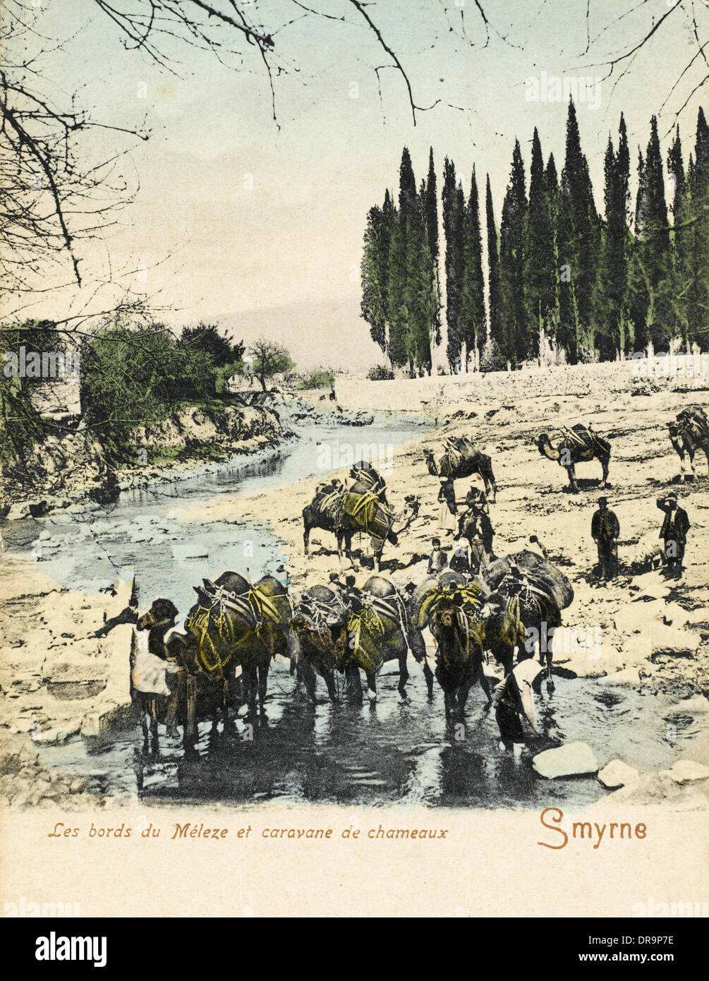 Turkey camel train hi-res stock photography and images - Alamy