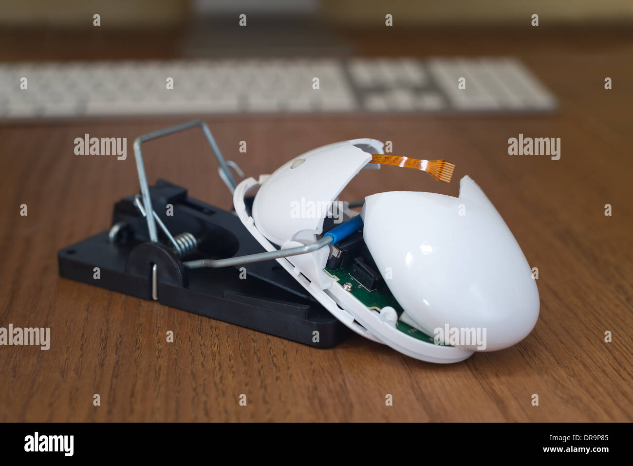 Rat and computer mouse hi-res stock photography and images - Alamy