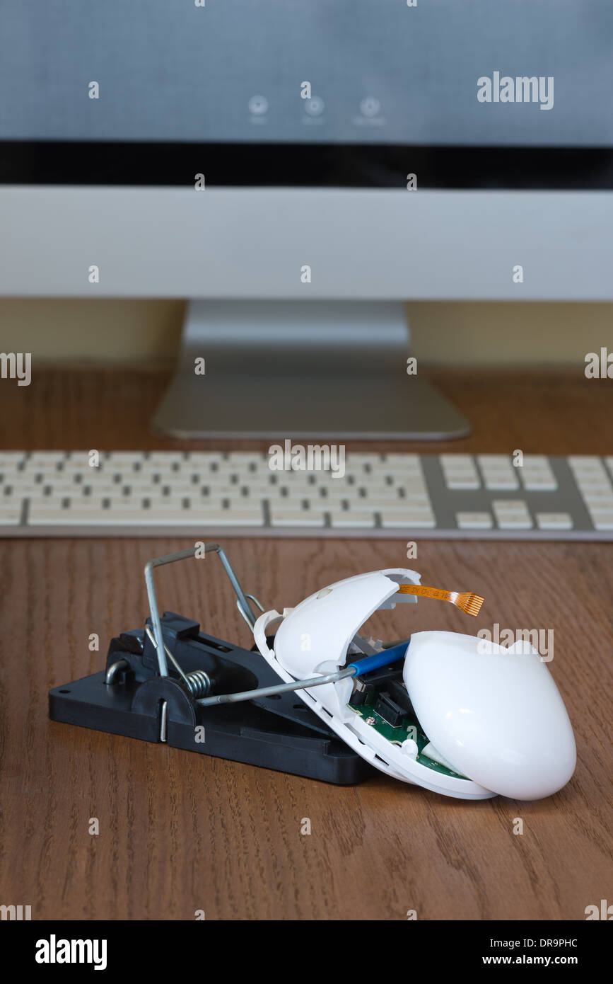 Computer mouse caught and broken in two in a mousetrap rattrap with ...