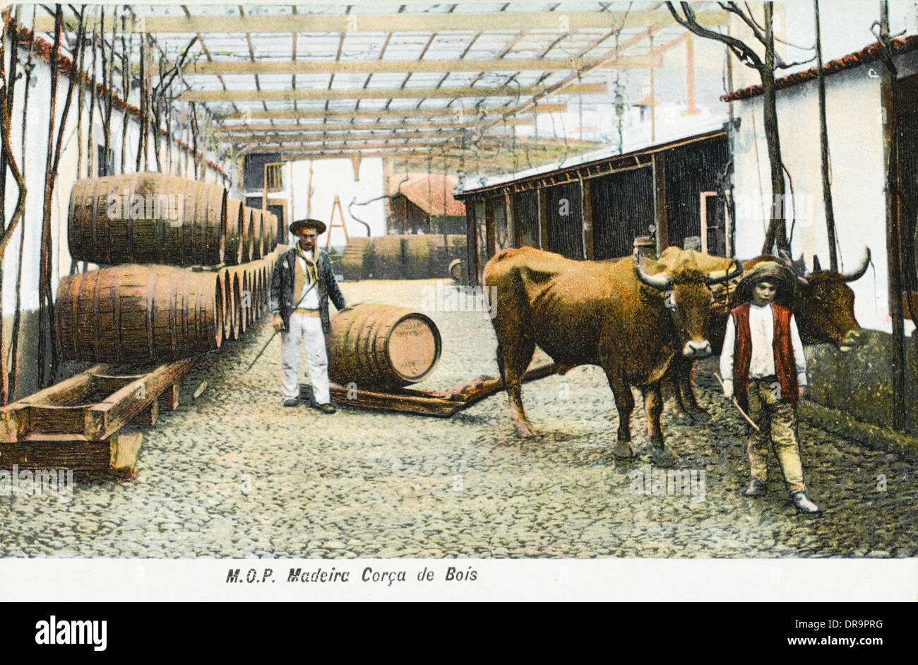 1920s wine production hi-res stock photography and images - Alamy