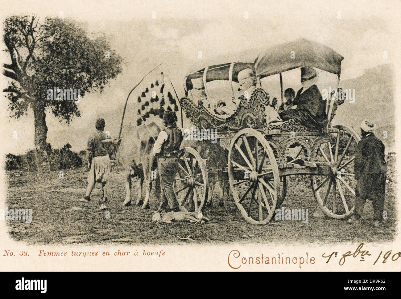 Covered wagon pulled by oxen hi-res stock photography and images - Alamy