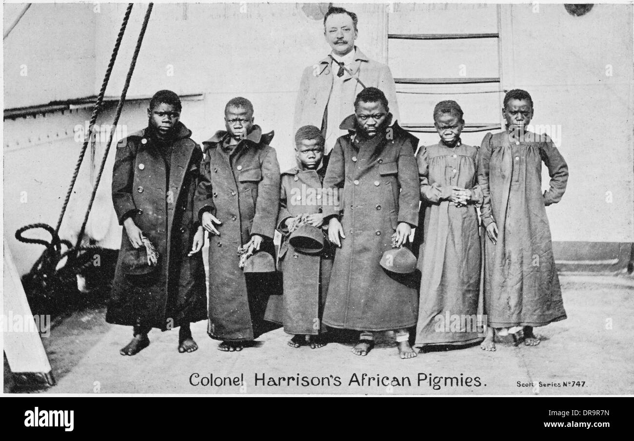 Colonel J J Harrison's African Pygmies Stock Photo - Alamy