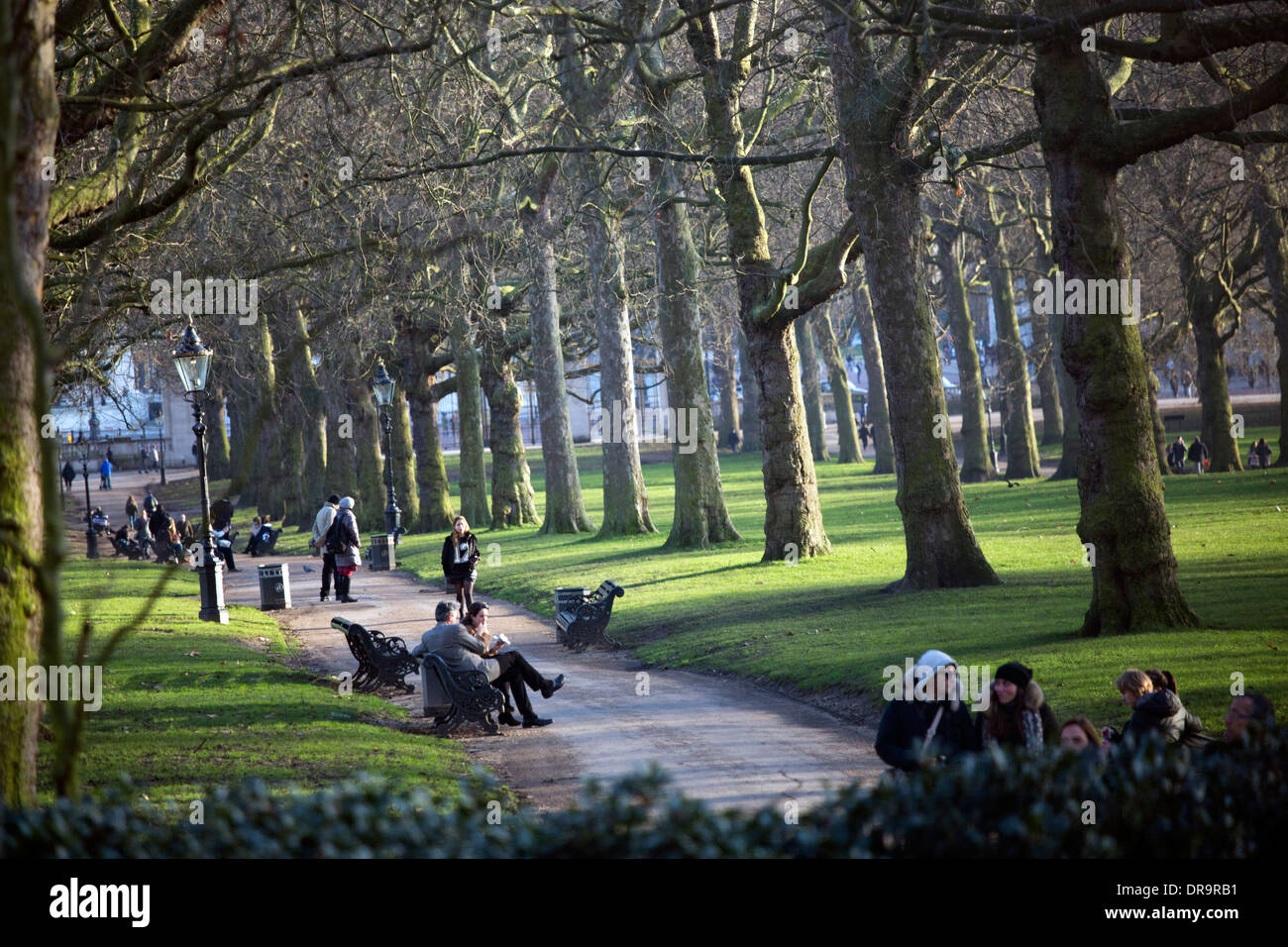 Trees and benches Green Park, London, england Stock Photo - Alamy