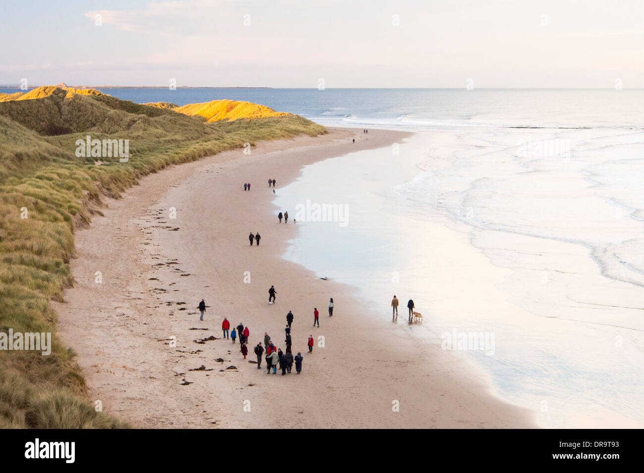 Sand dunes between Seahouses and Bamburgh on the Northumberland Coast ...