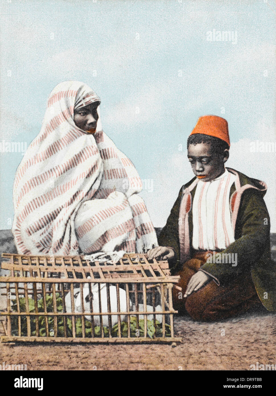 Black rabbit cage hi-res stock photography and images - Alamy