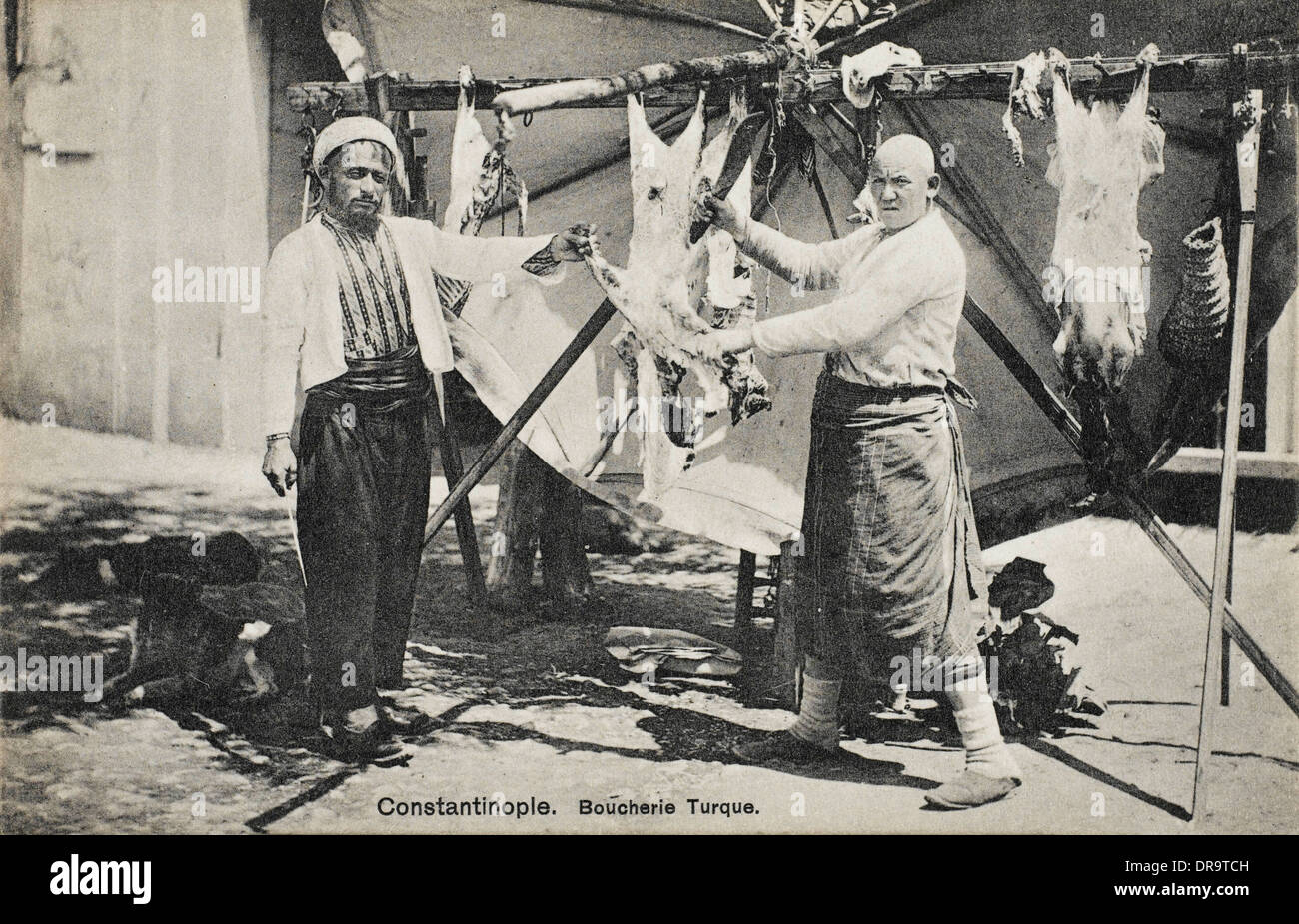 Butchering sheep hi-res stock photography and images - Alamy