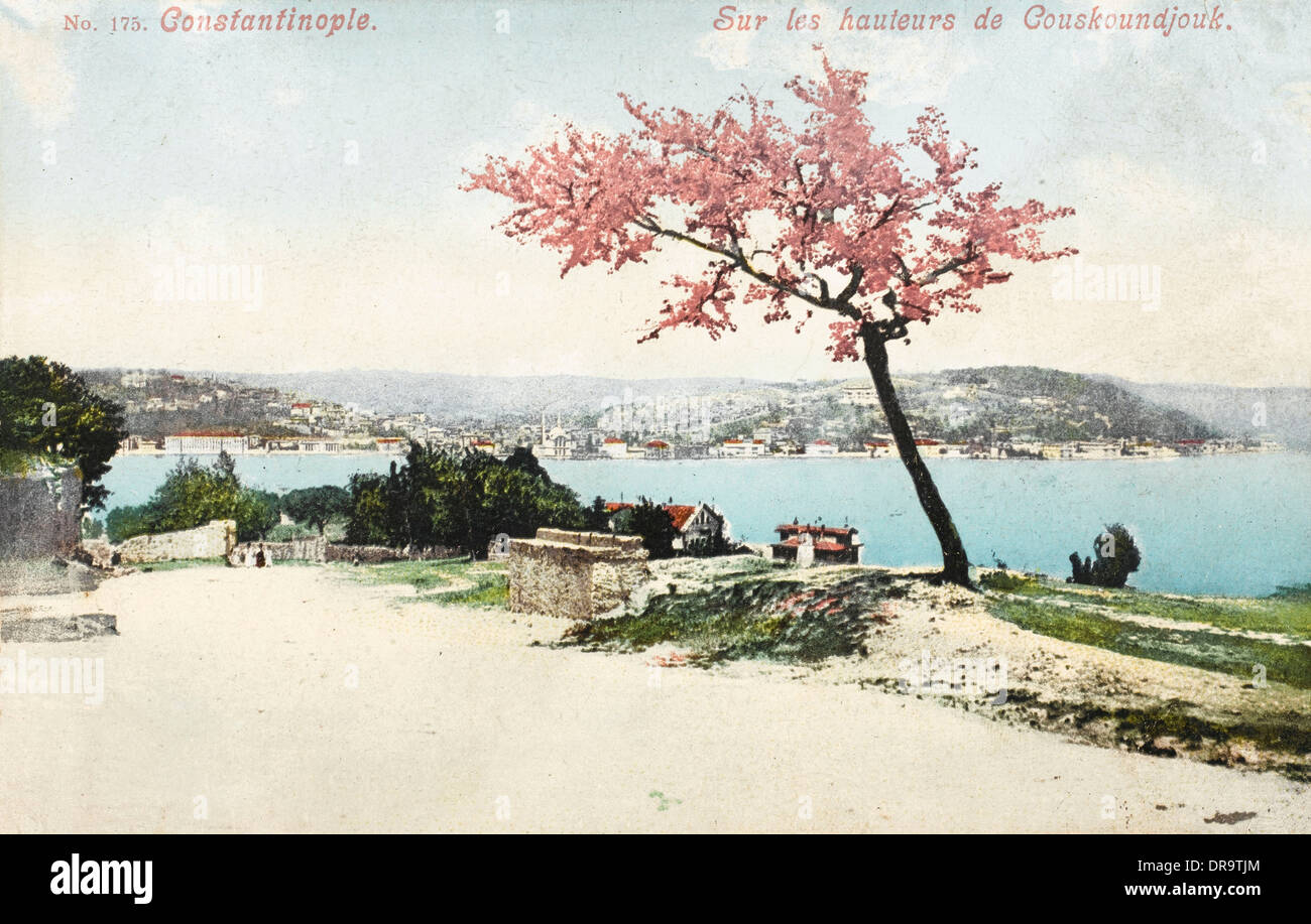 Constantinople View High Resolution Stock Photography and Images - Alamy