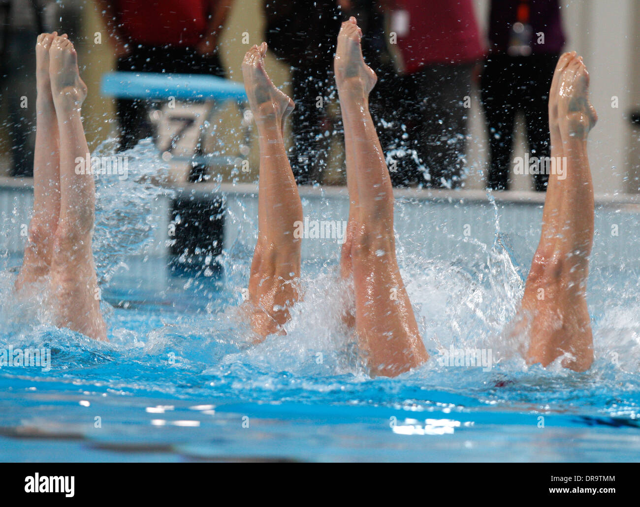 Synchronized swimming legs hi-res stock photography and images - Alamy