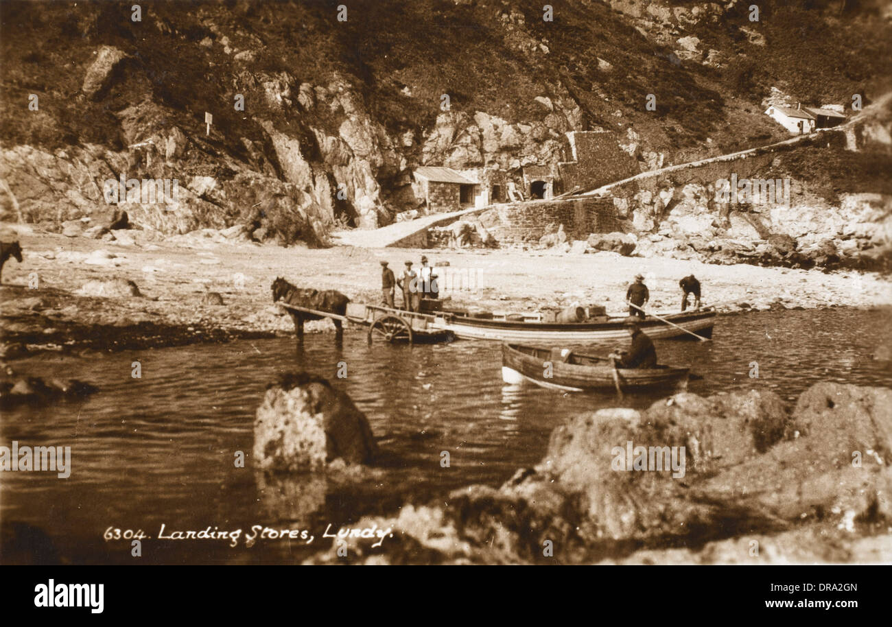 Lundy devon horse hi-res stock photography and images - Alamy