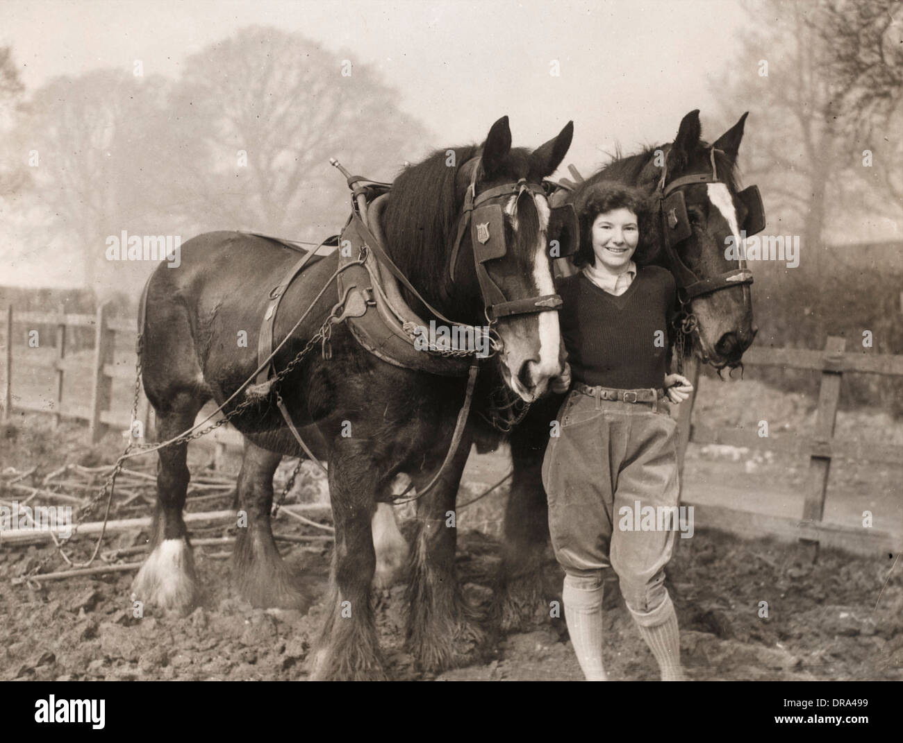 Land Girls WWII Stock Photo - Alamy