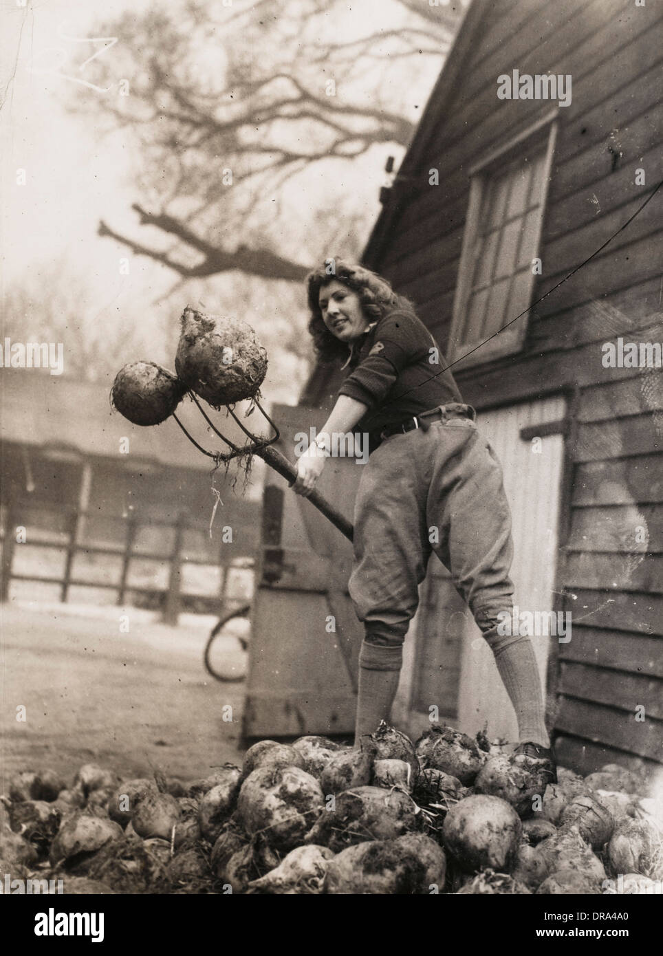 Women Ww2 Farm High Resolution Stock Photography and Images - Alamy