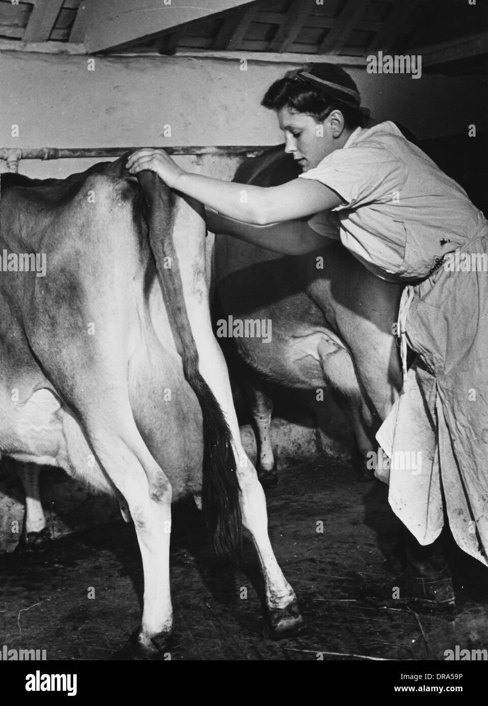 Land Girls WWII Stock Photo - Alamy