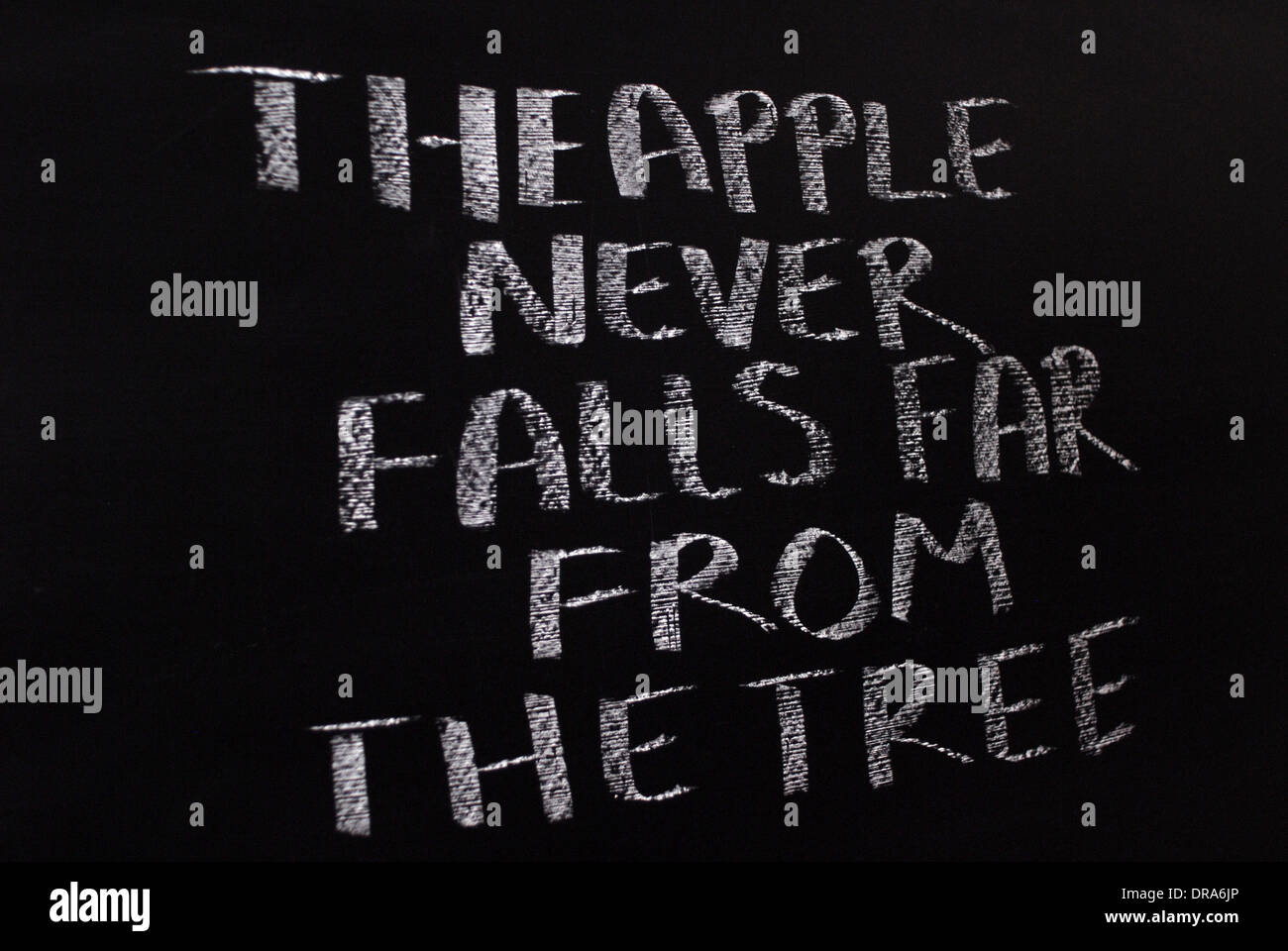chalk writing- The apple never falls far from the tree- words written ...
