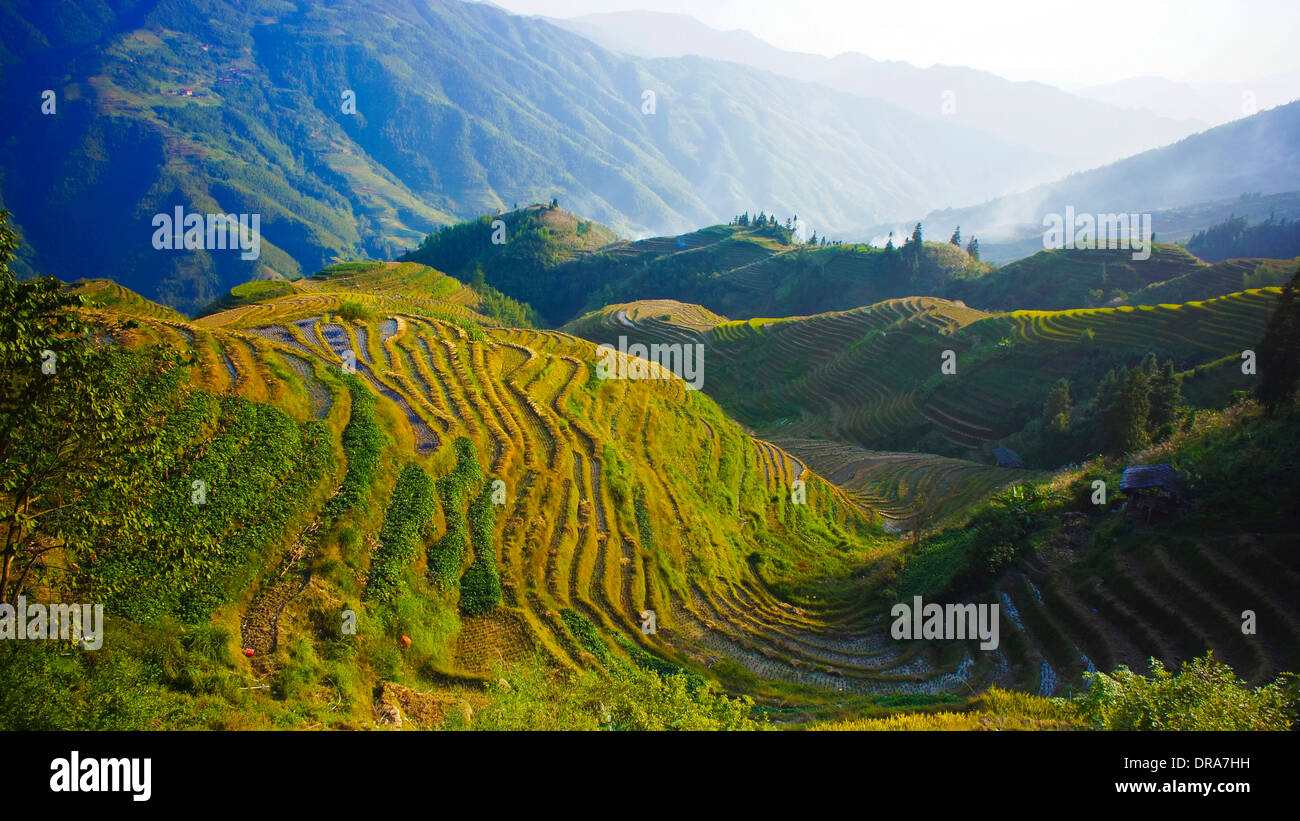 Longji Rice Terrace High Resolution Stock Photography and Images - Alamy