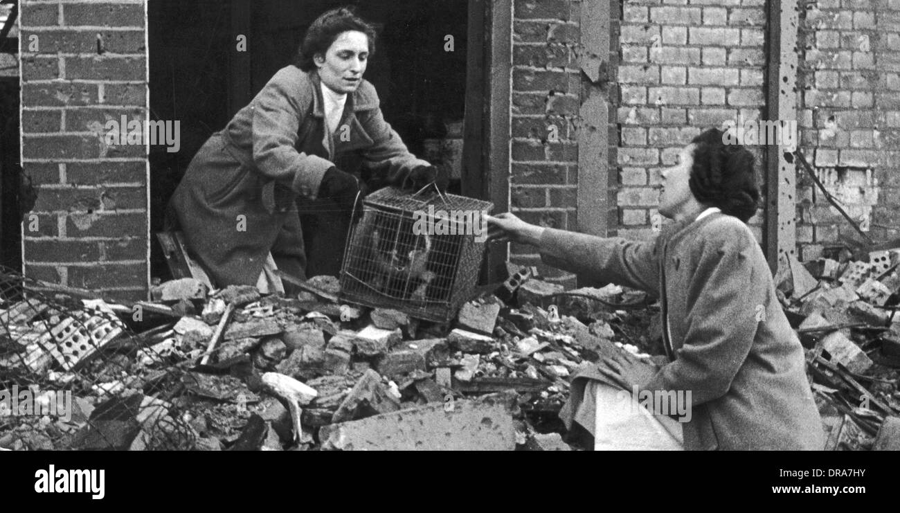 The animal world Black and White Stock Photos & Images - Alamy