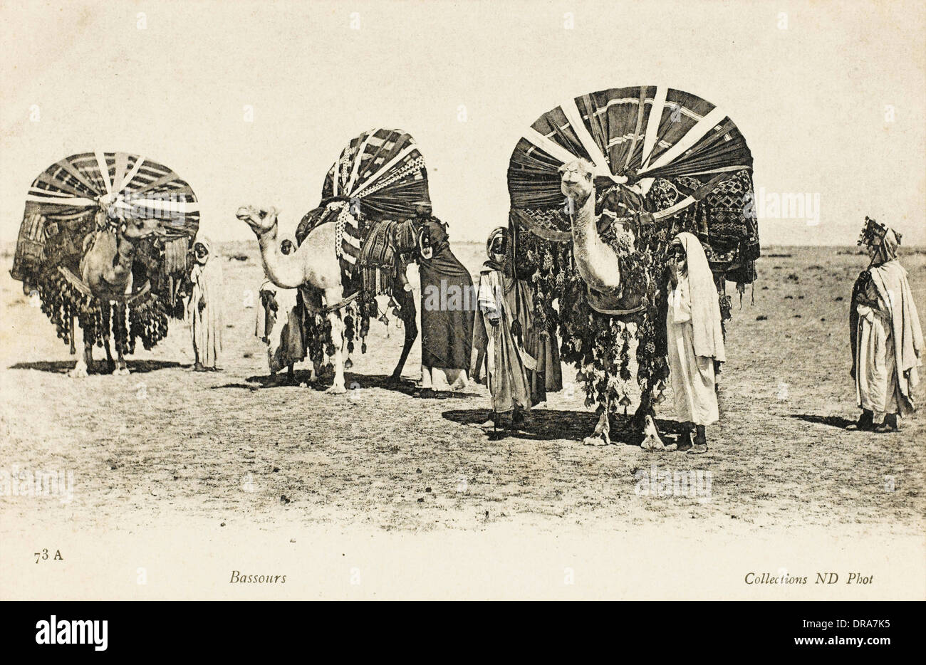Algeria - Camel Transport Stock Photo - Alamy