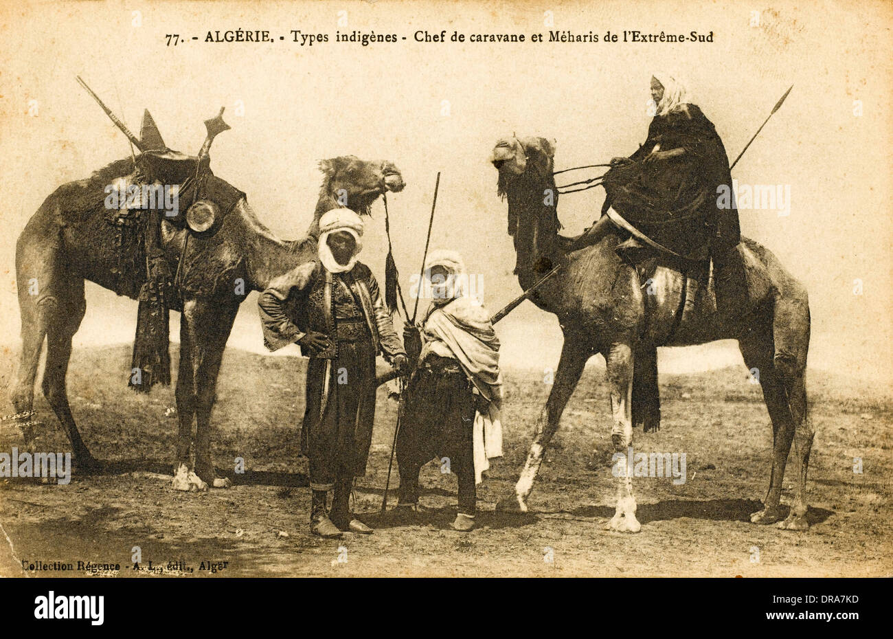 Meharis tribe of Southern Algeria Stock Photo - Alamy