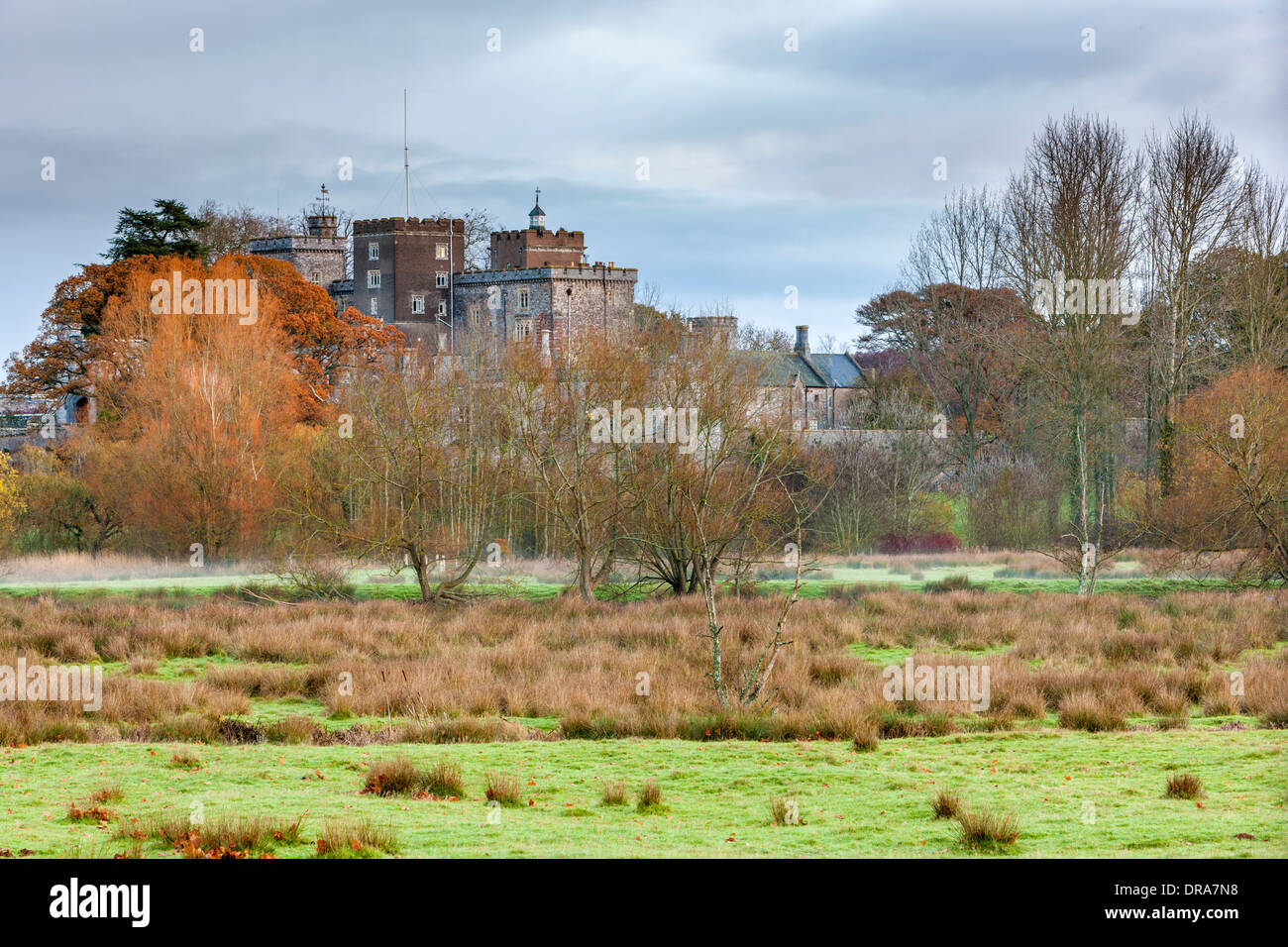 Manor of powderham hi-res stock photography and images - Alamy