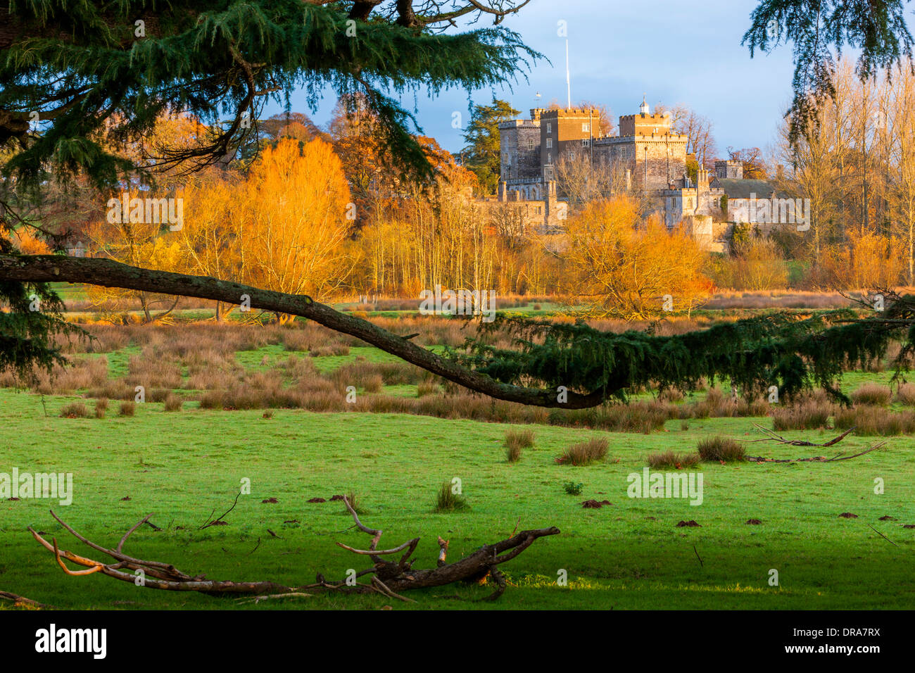 Powderham castle hi-res stock photography and images - Alamy