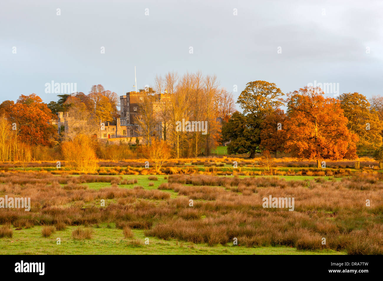 Manor Of Powderham High Resolution Stock Photography and Images - Alamy