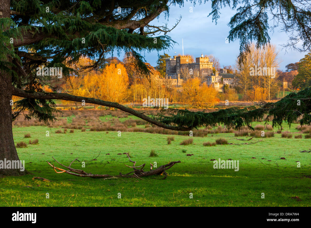 A view towards Powderham Castle, Kenton, Devon, England, UK, Europe ...