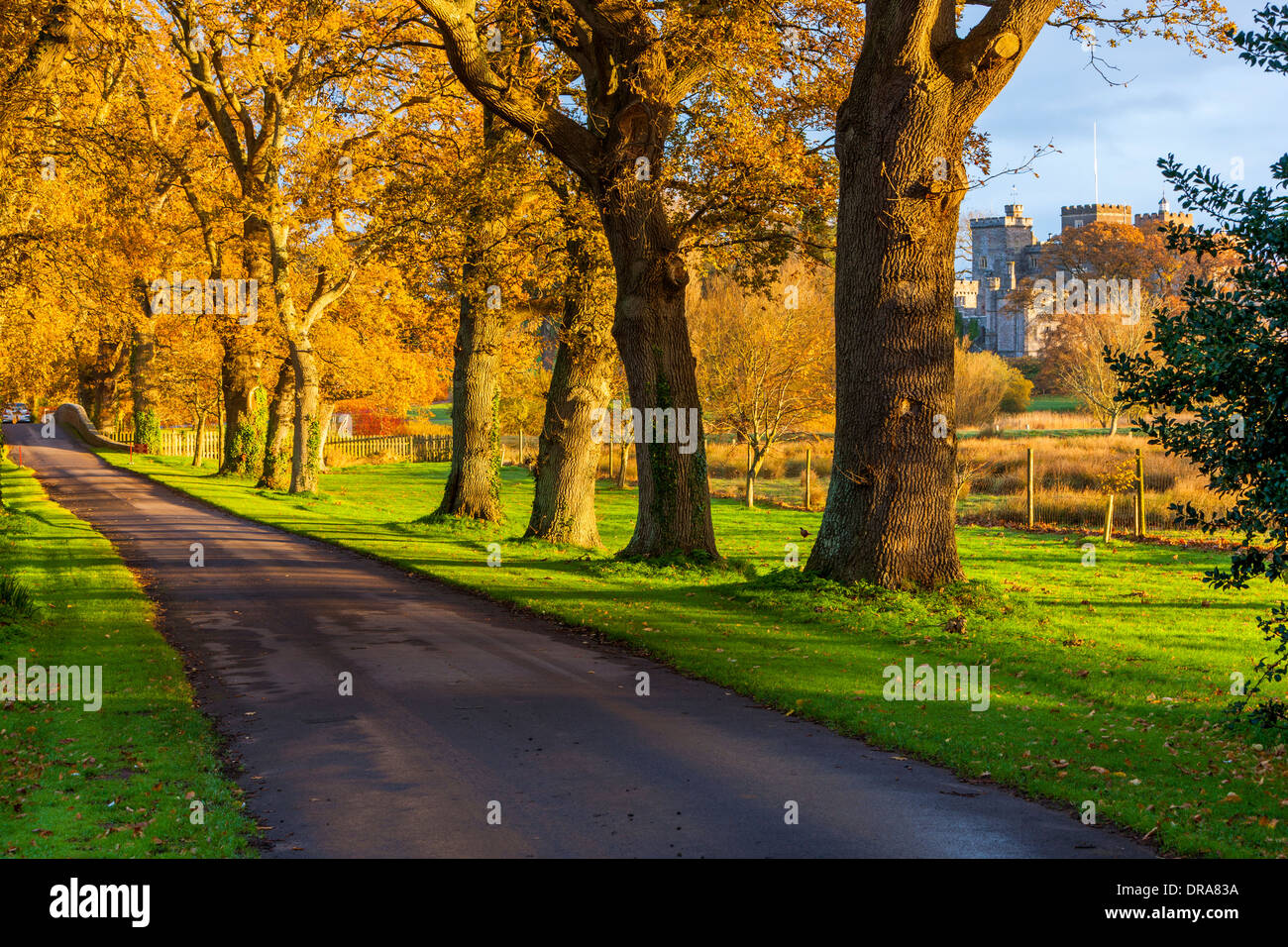 Powderham castle autumn hi-res stock photography and images - Alamy