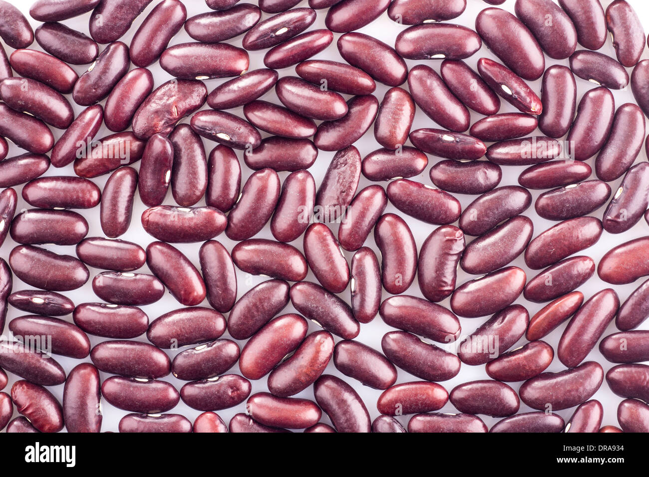 Haricot beans on white background Stock Photo - Alamy