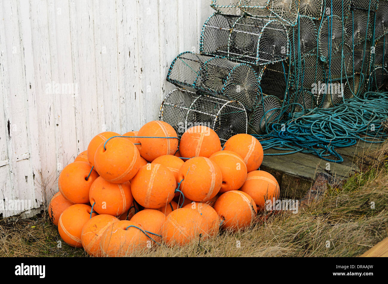 Lobster fish hi-res stock photography and images - Alamy