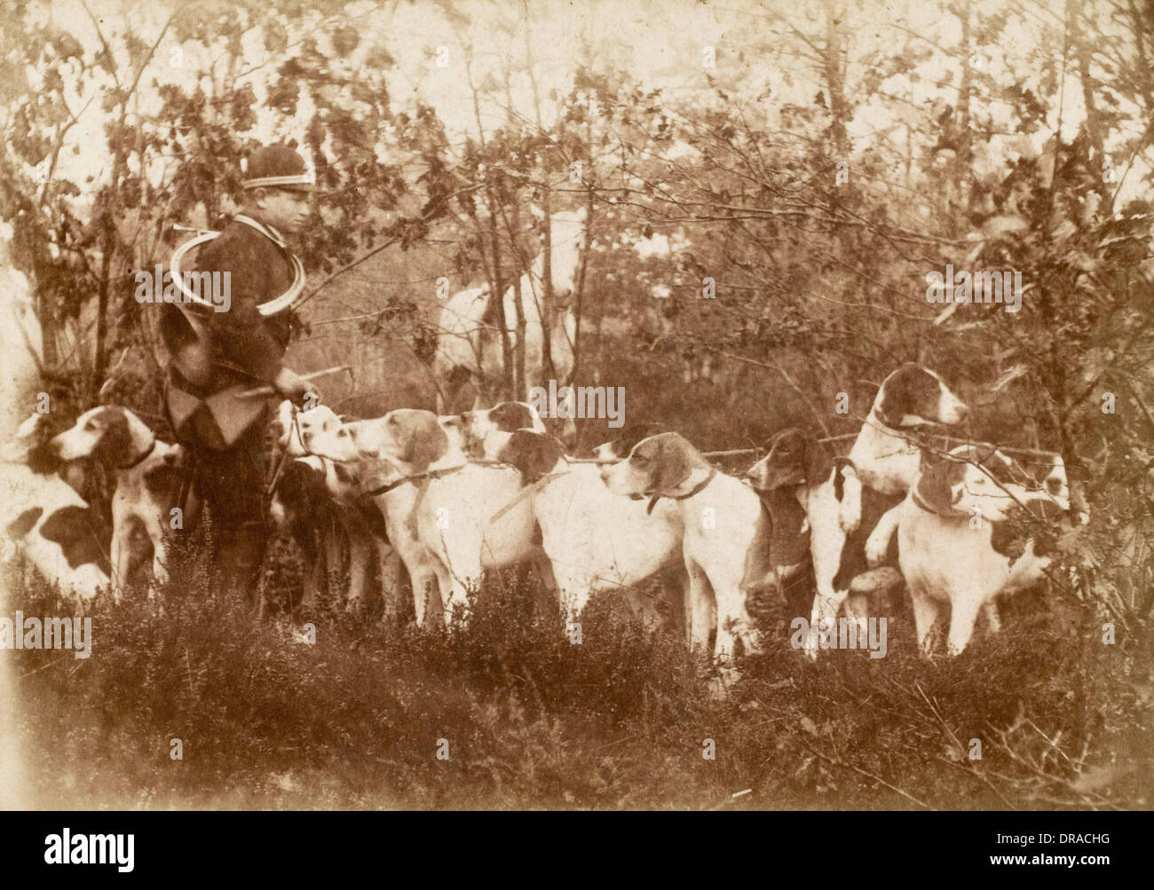 A hunt in the grounds of a French Chateau Stock Photo - Alamy
