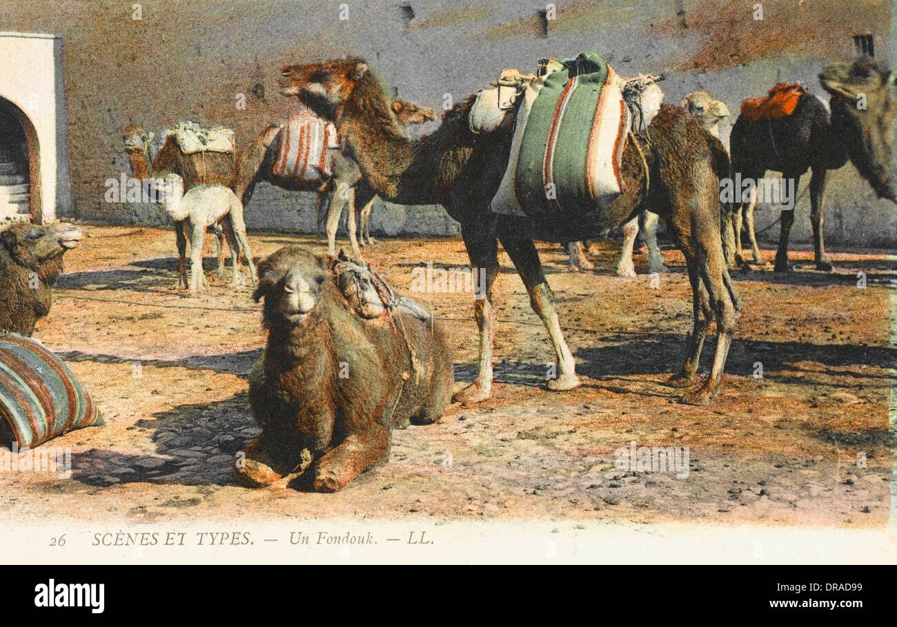 Fondouk High Resolution Stock Photography and Images - Alamy