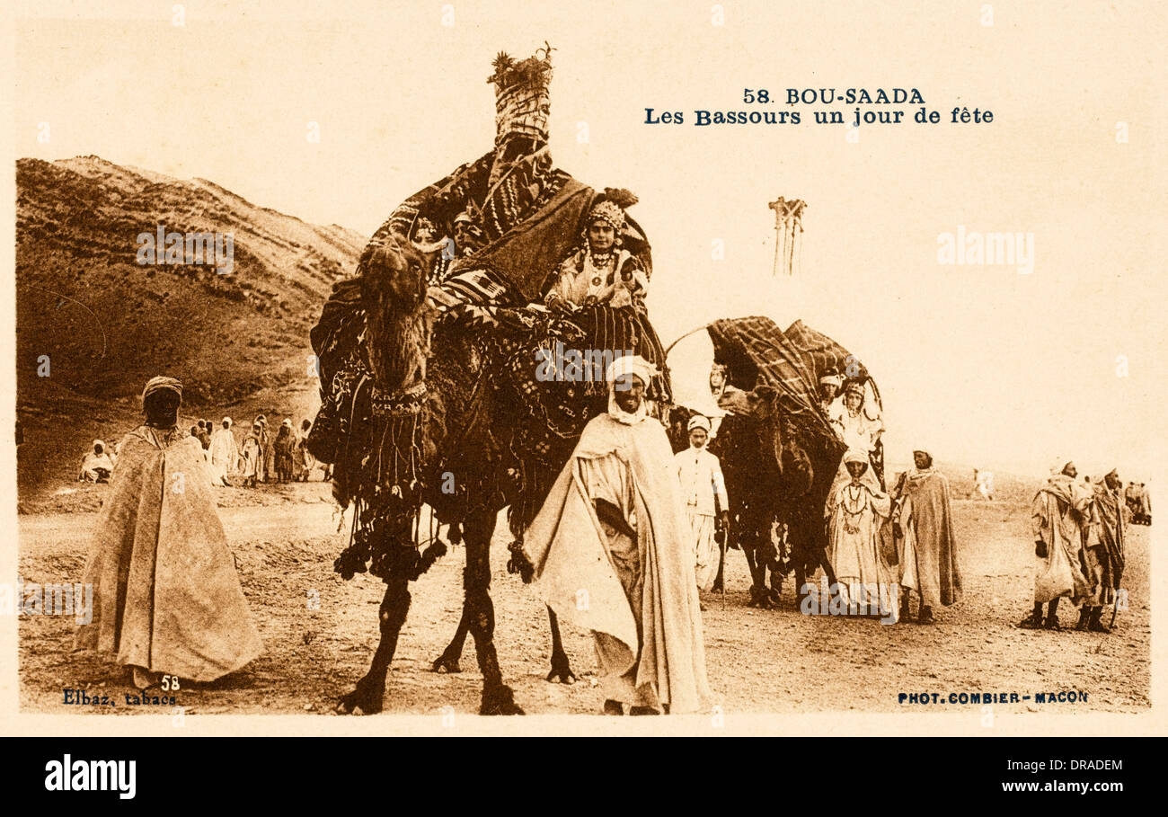 A camel palanquin (covered litter Stock Photo - Alamy