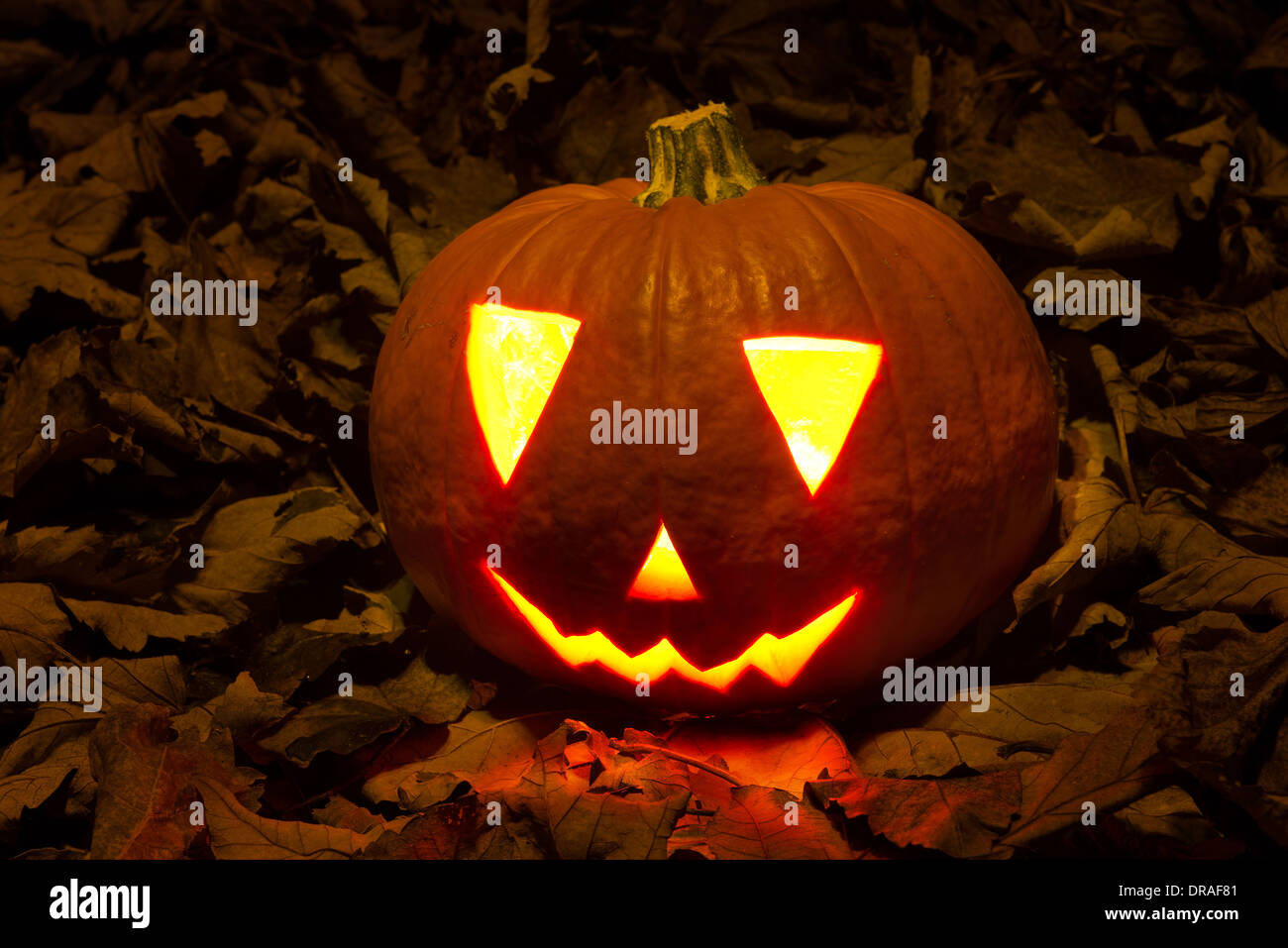Jack o lantern Halloweens pumpkin on dark dried leaves glowing eyes and ...