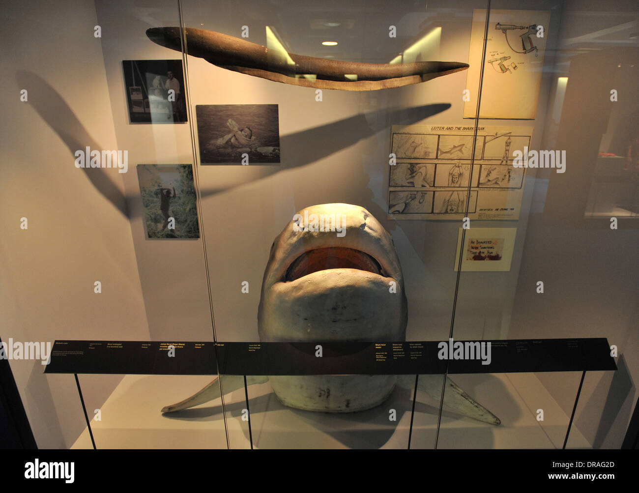 Shark head from 'Licence to Kill', 1989 Designing 007 - Fifty Years of ...