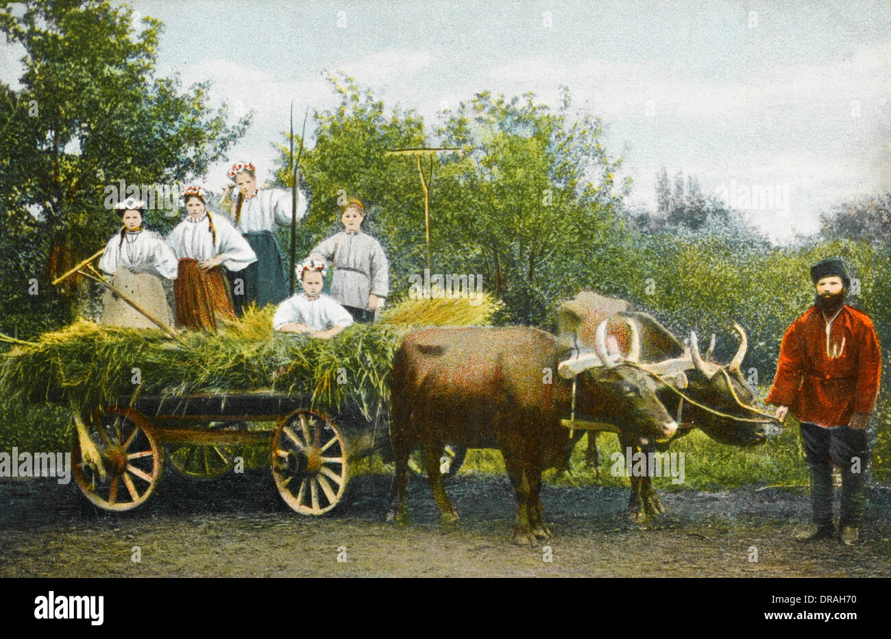 Ukrainian farm workers hi-res stock photography and images - Alamy