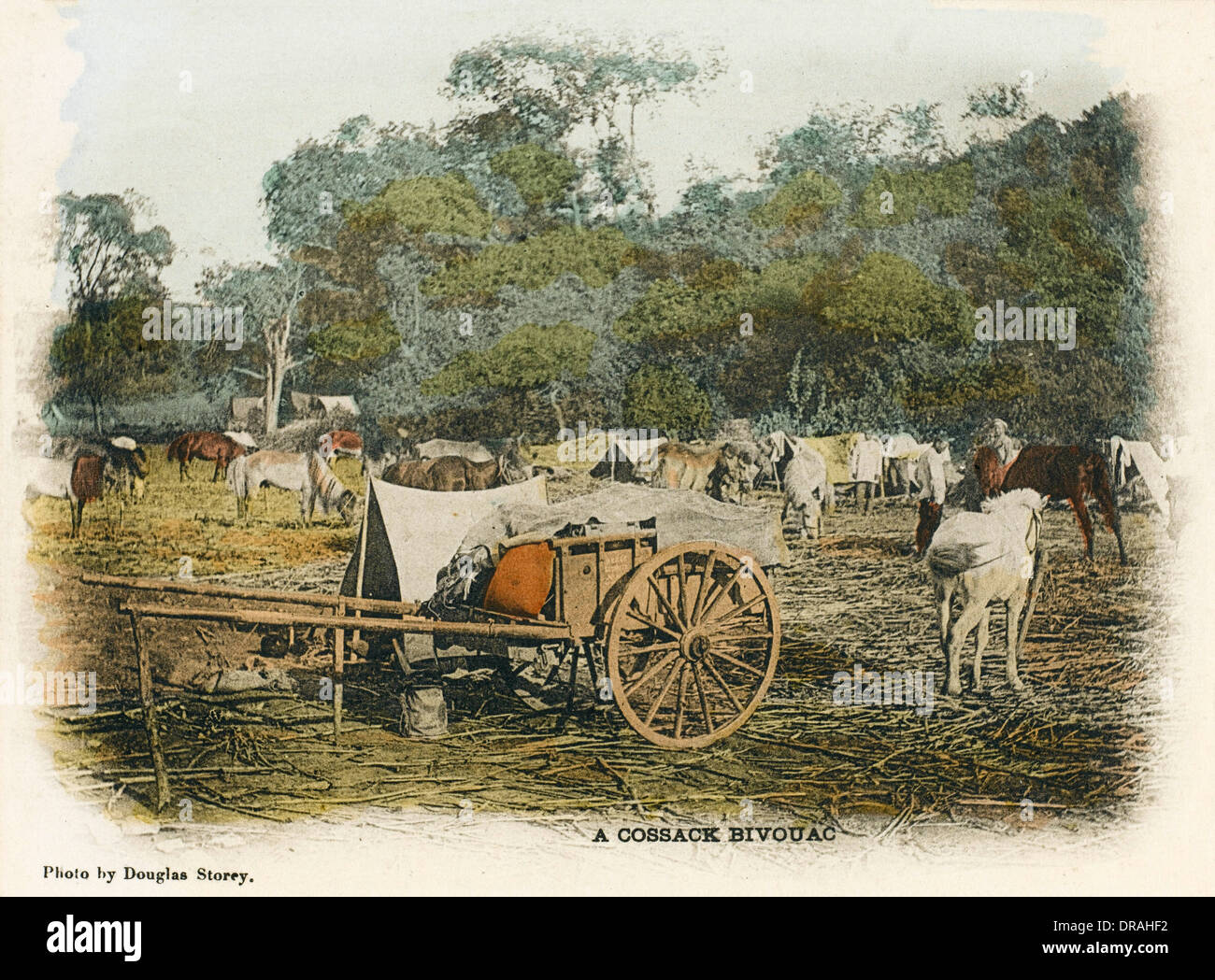 Cossack hi-res stock photography and images - Alamy