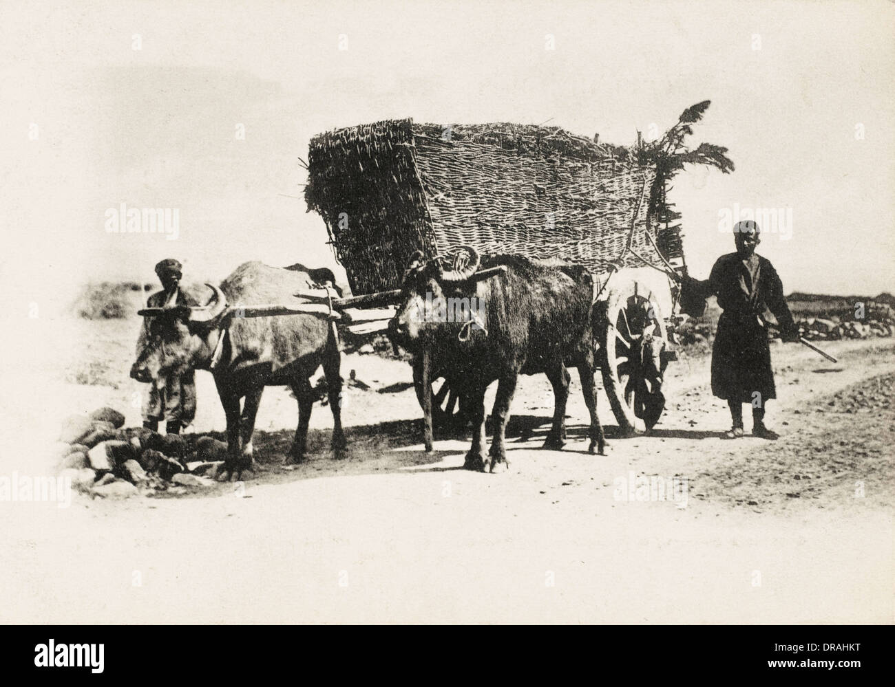 Caucasian men with ox cart Stock Photo - Alamy