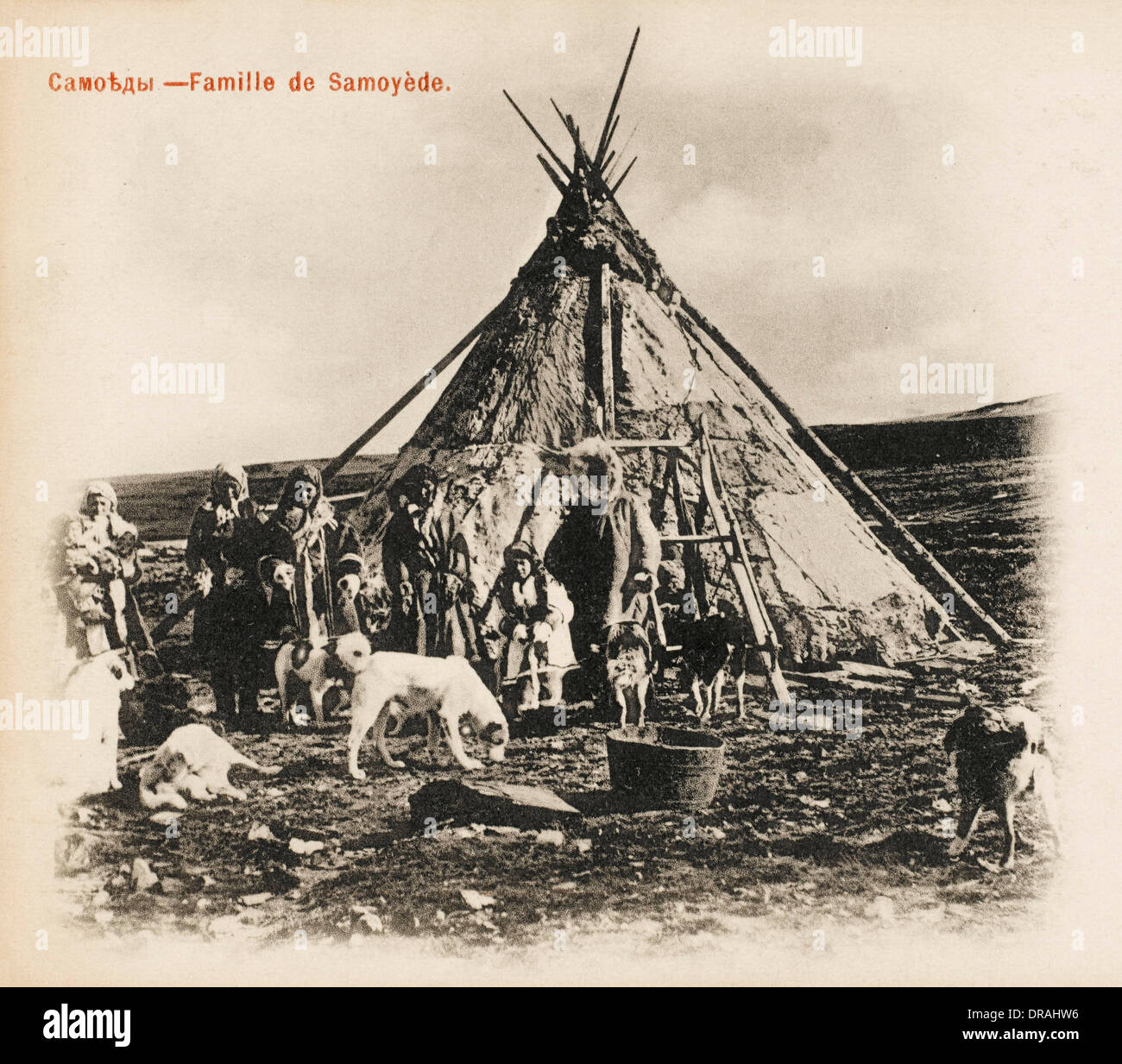 Samoyedic family in Siberia Stock Photo - Alamy