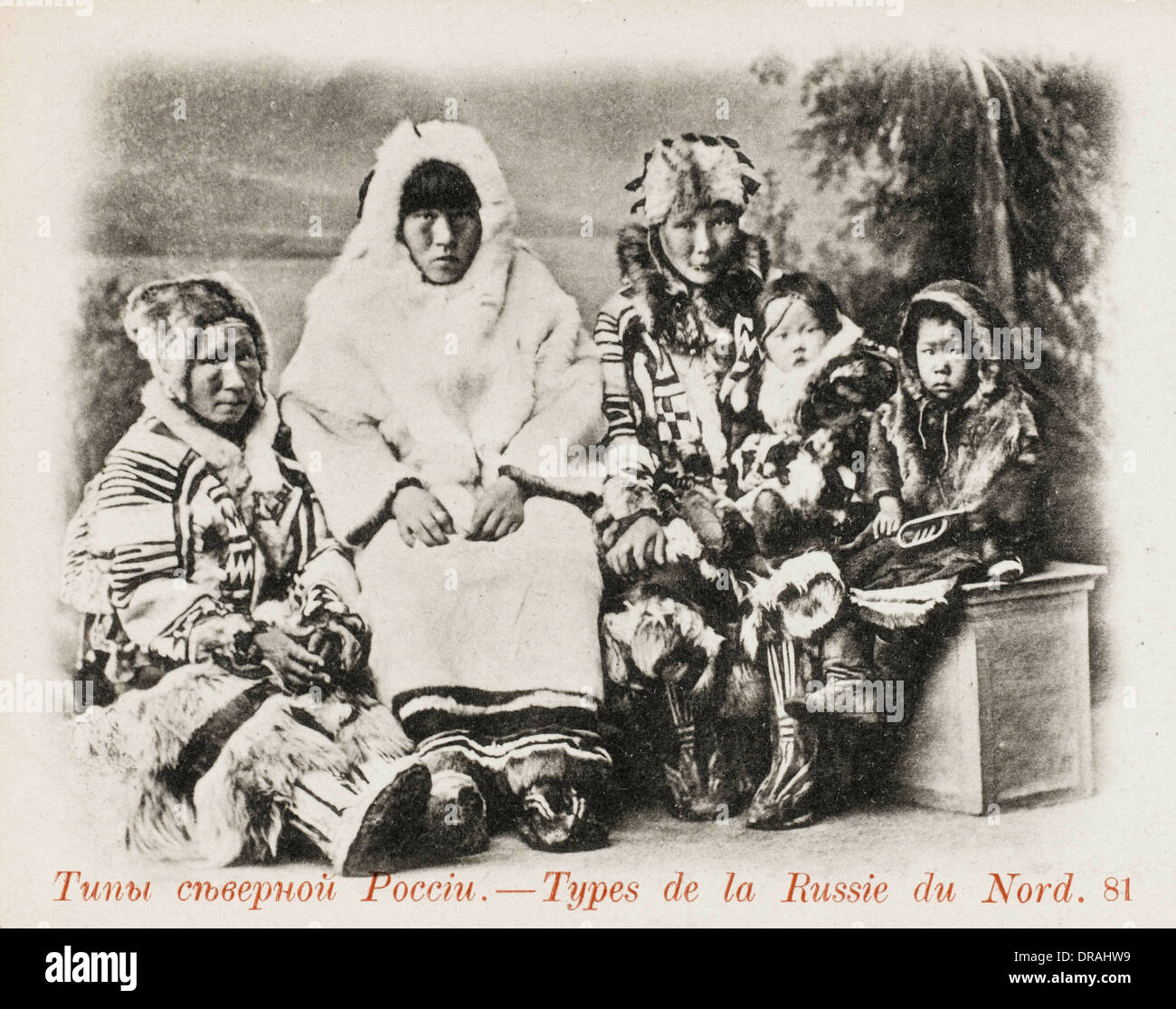 Samoyedic hi-res stock photography and images - Alamy